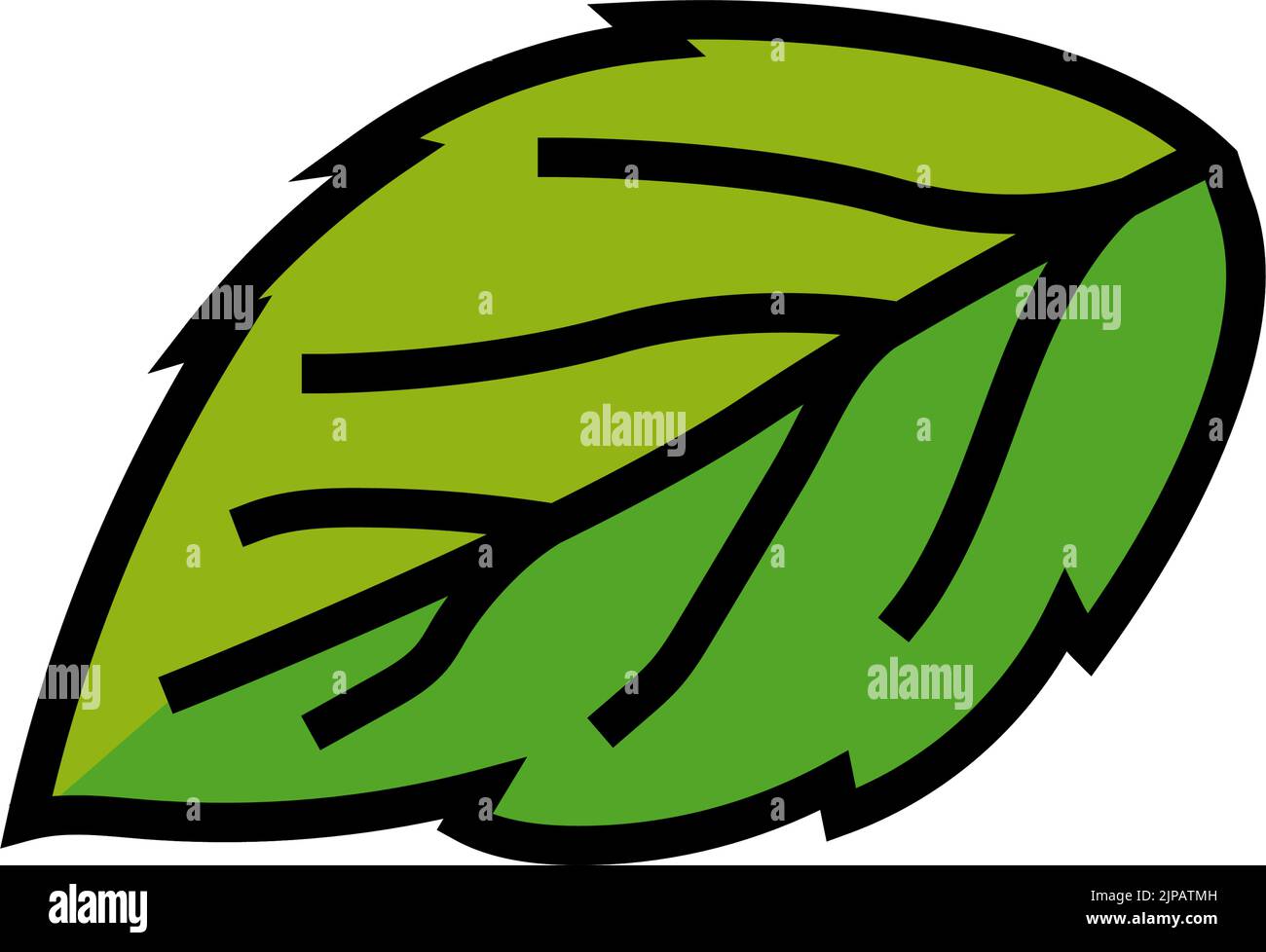 leaf raspberry green color icon vector illustration Stock Vector Image ...