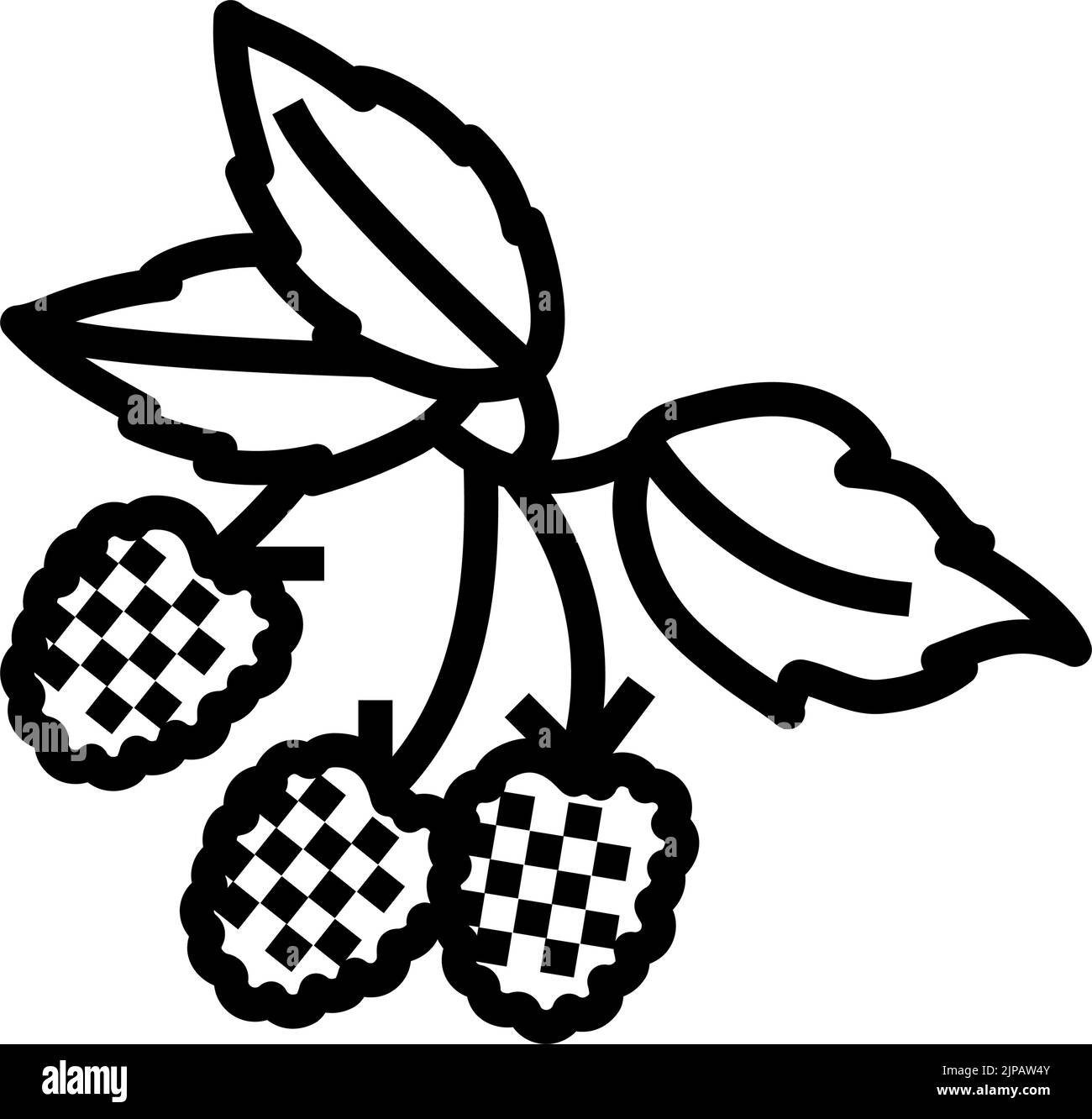 raspberry plant delicious line icon vector illustration Stock Vector ...
