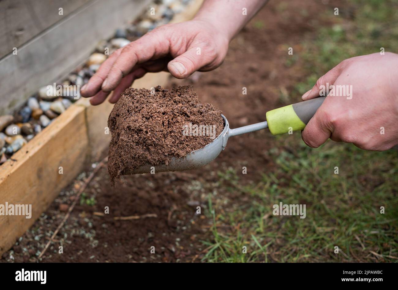 Male gardener holding scoop trowel garden hand tool full of soil ...