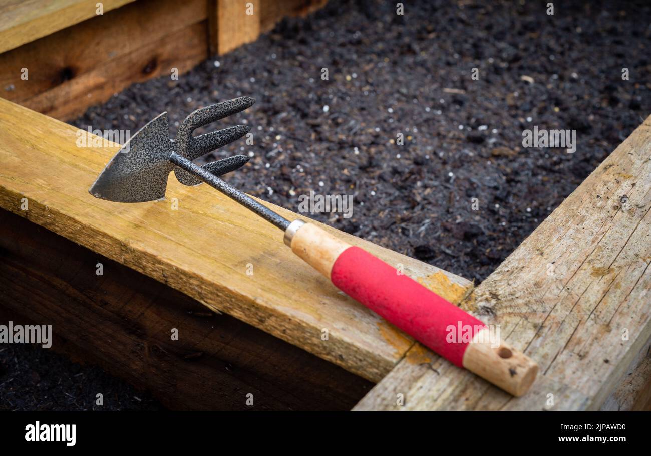 Wood and steel double sided hoe and rake garden hand tool on top of ...