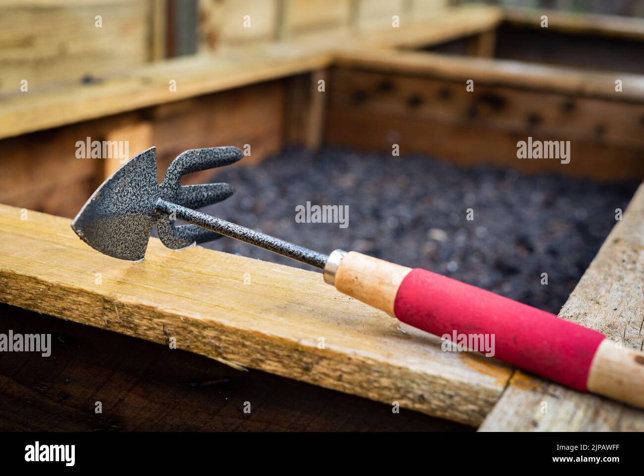 Double sided hoe and rake garden hand tool on top of freshly planted ...