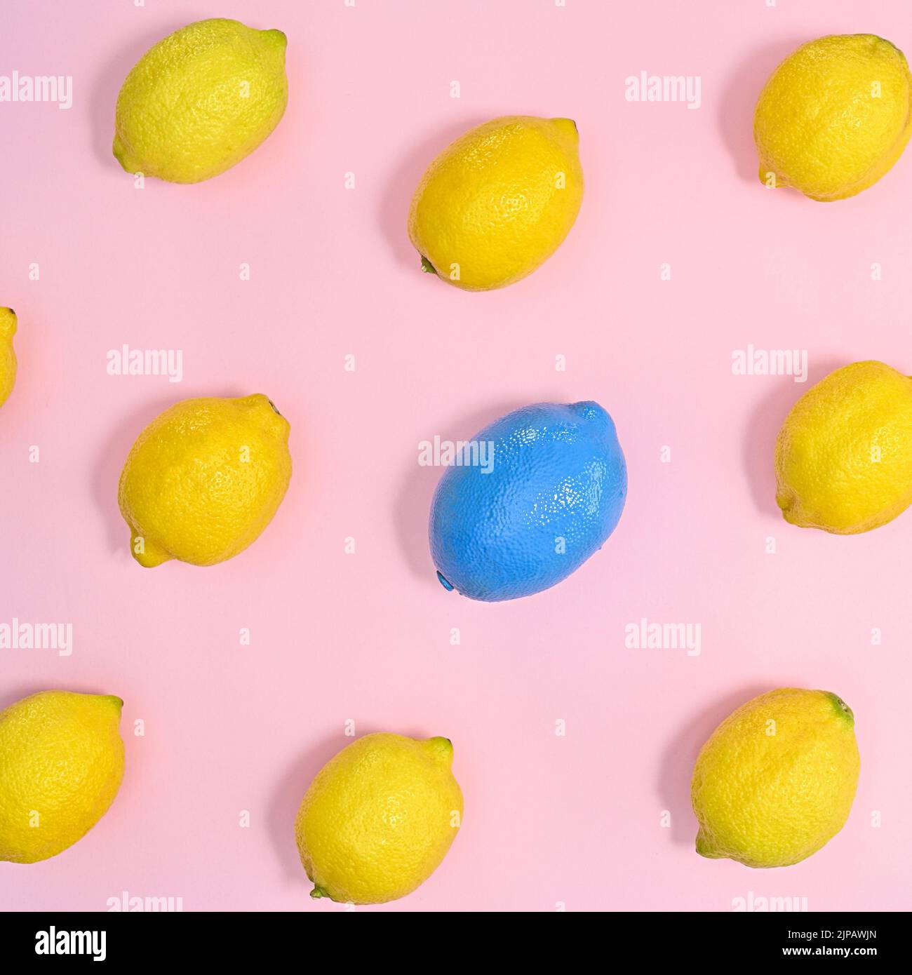 Creative pattern with yellow lemons and one blue on pastel pink ...