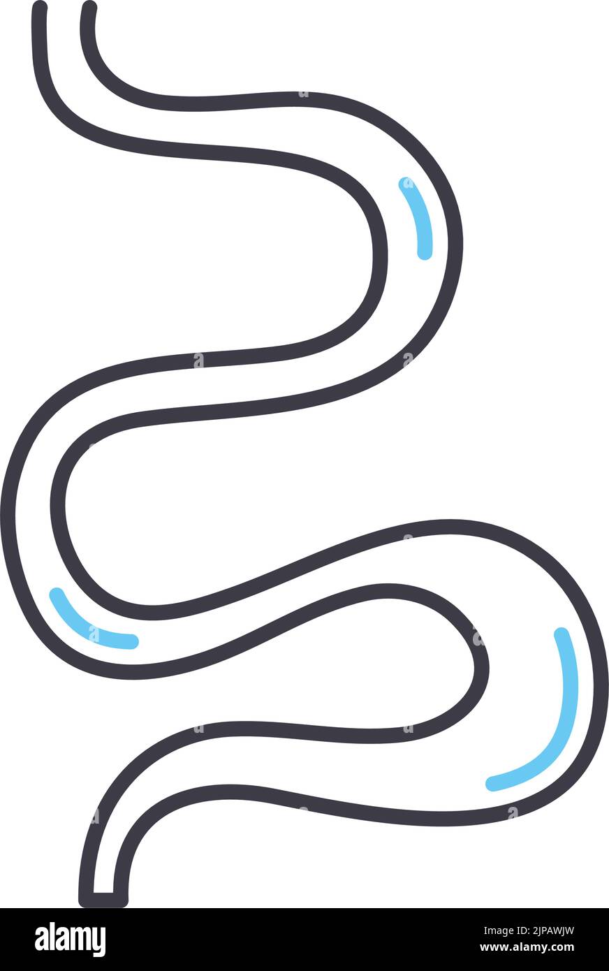 small intenstine line icon, outline symbol, vector illustration ...