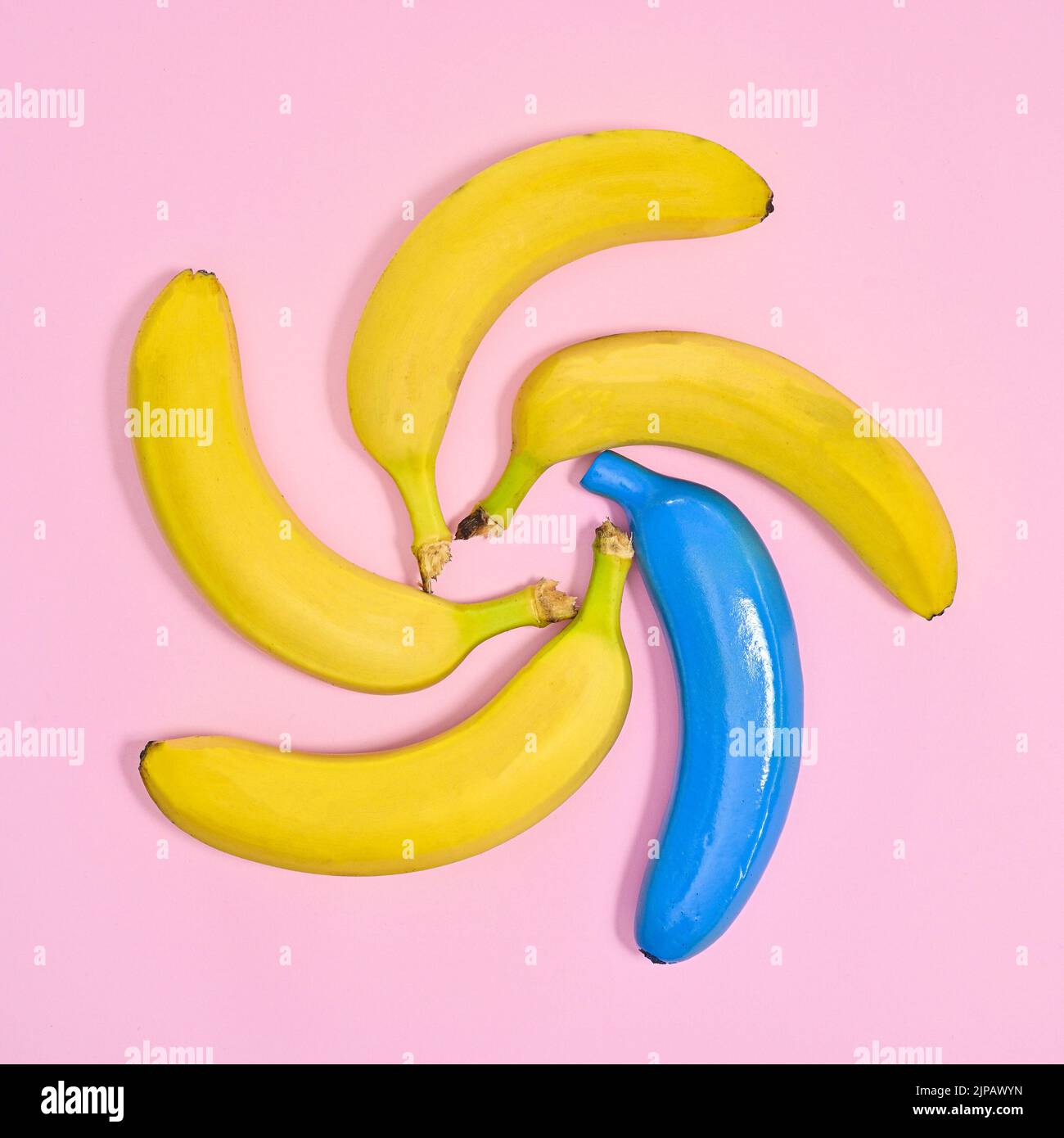 Creative pastel pink background with ripe organic bananas and one in ...