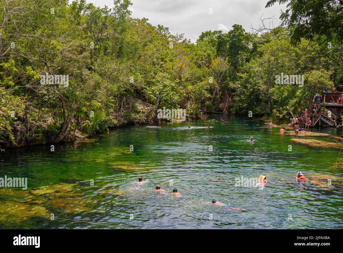 Cenote in Quintana Roo, Mexico Stock Photo - Alamy