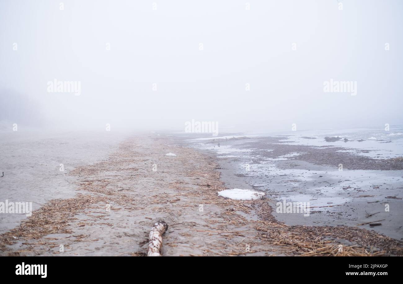Walking path in the park during heavy fog. Weather conditions and ...