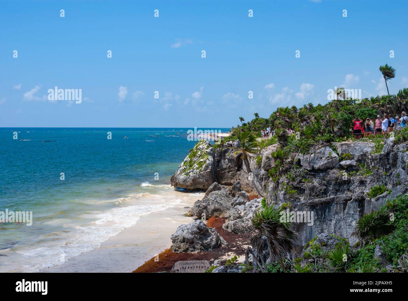 Excessive amounts of sargassum seaweed line the coast underneath Tulum ...