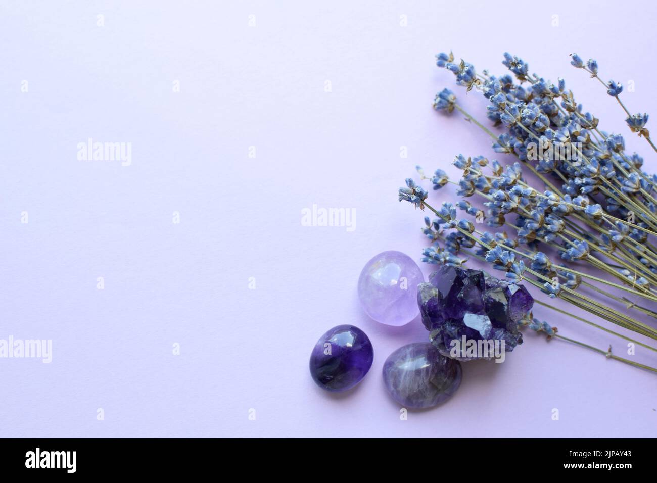 Beautiful amethyst stones and amethyst druze with a dry bouquet of ...