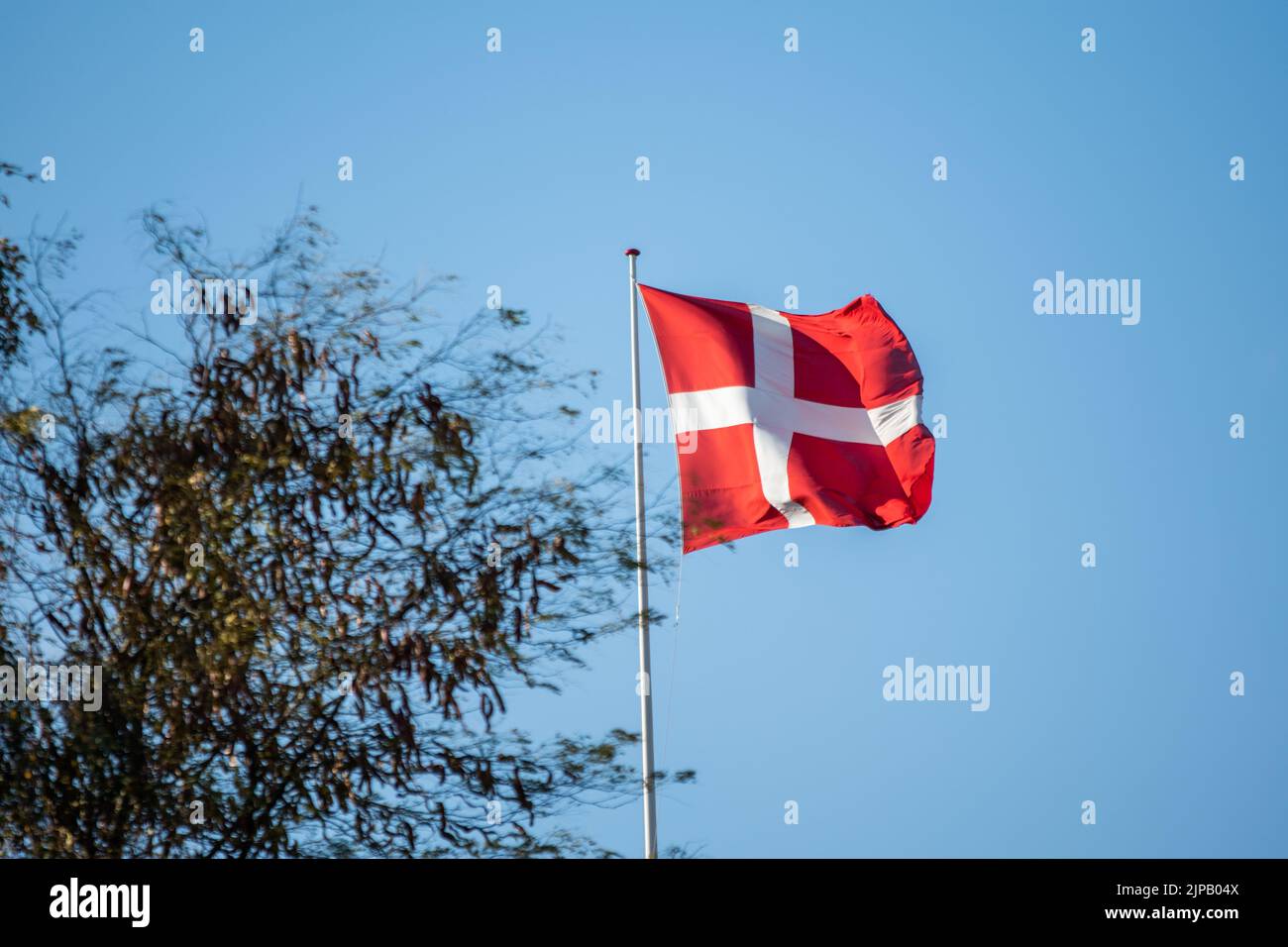 A waving flag of Denmark on a pipe Stock Photo - Alamy