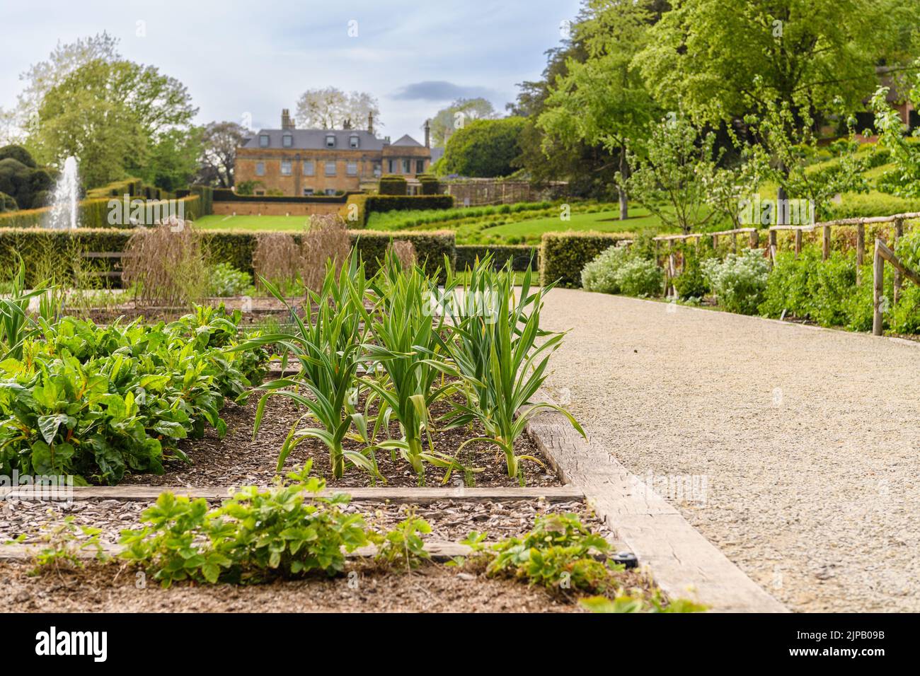 Different trees plants in hi-res stock photography and images - Alamy
