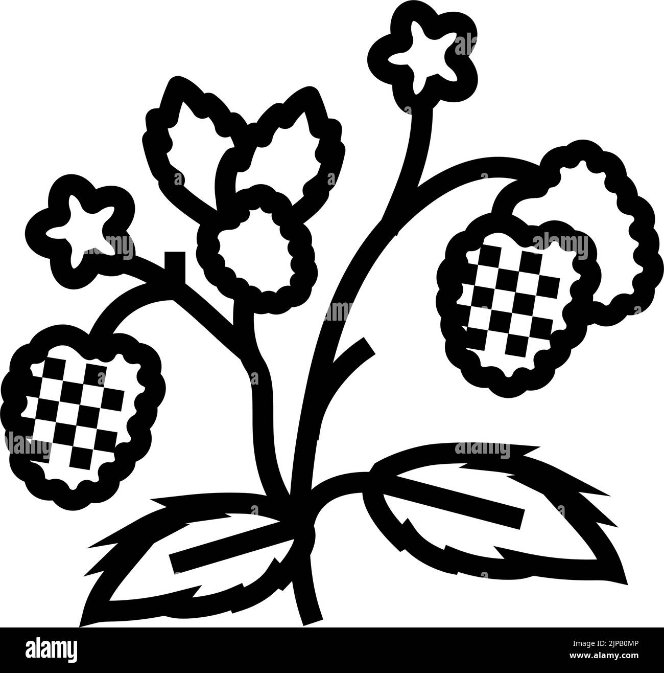 berries plant raspberry fruit line icon vector illustration Stock ...