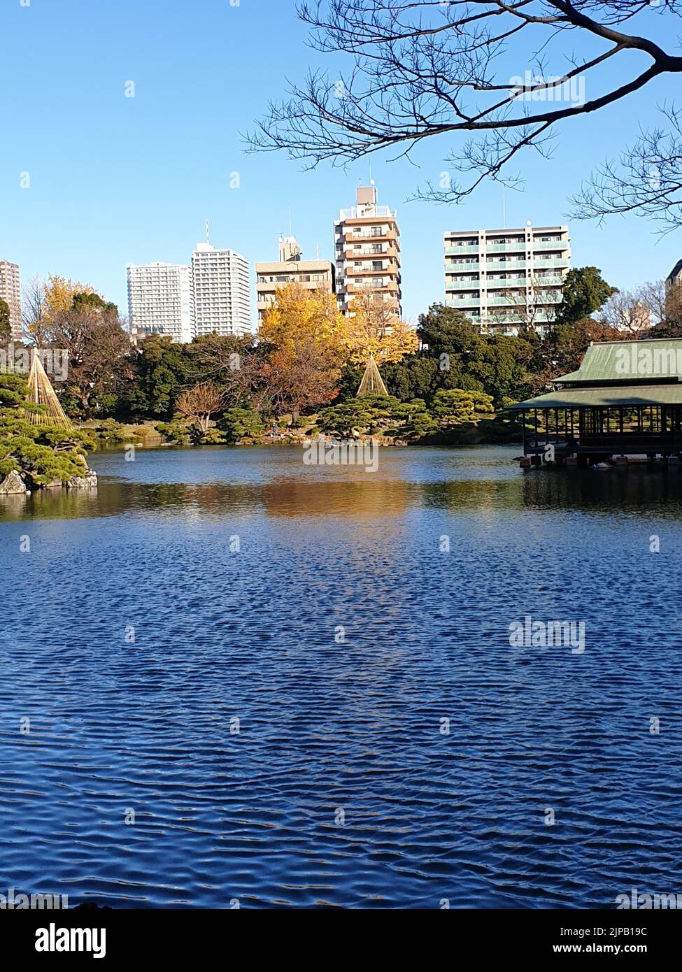 A vertical shot of the buildings of Koto from the bay in Tokyo ...