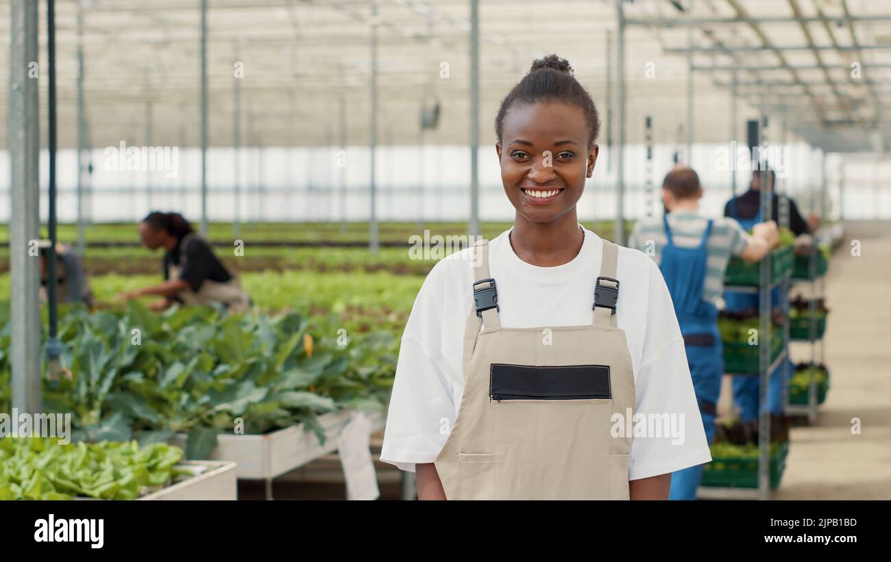 Portrait of african american woman posing happy in organic crops and ...