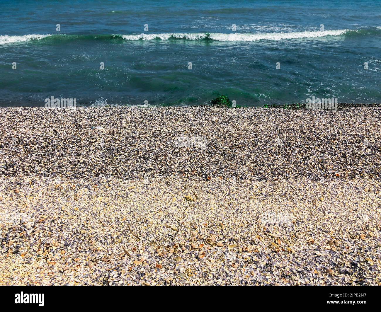 Sea green aquamarine waves line sunny seashell beach. wave ocean foam ...