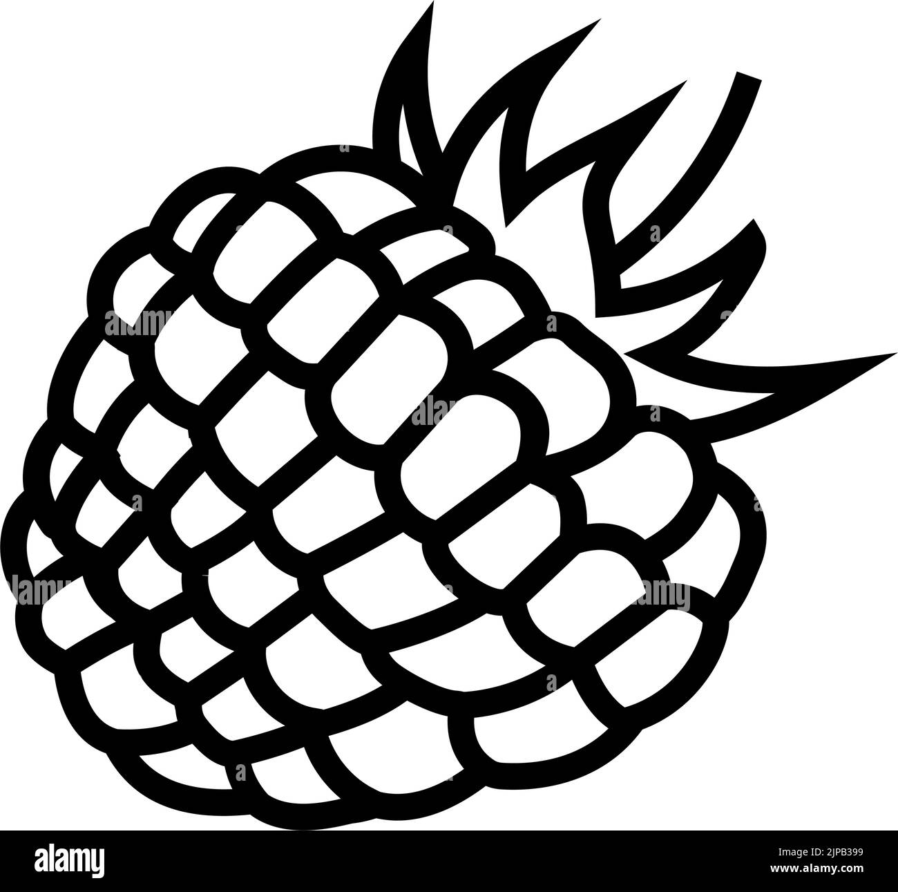 raspberry berry leaf line icon vector illustration Stock Vector Image ...