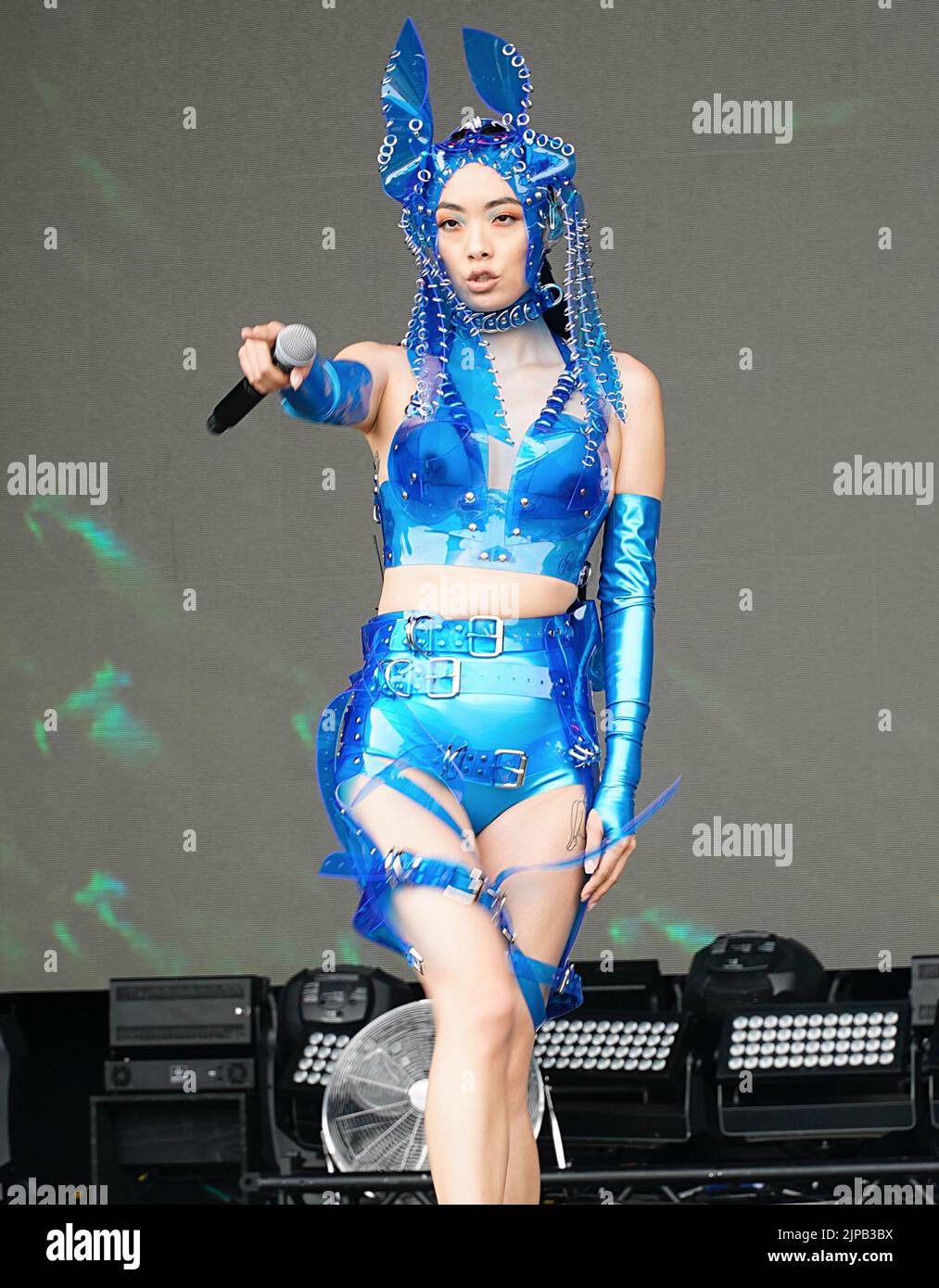 Early star chart hi-res stock photography and images - Alamy