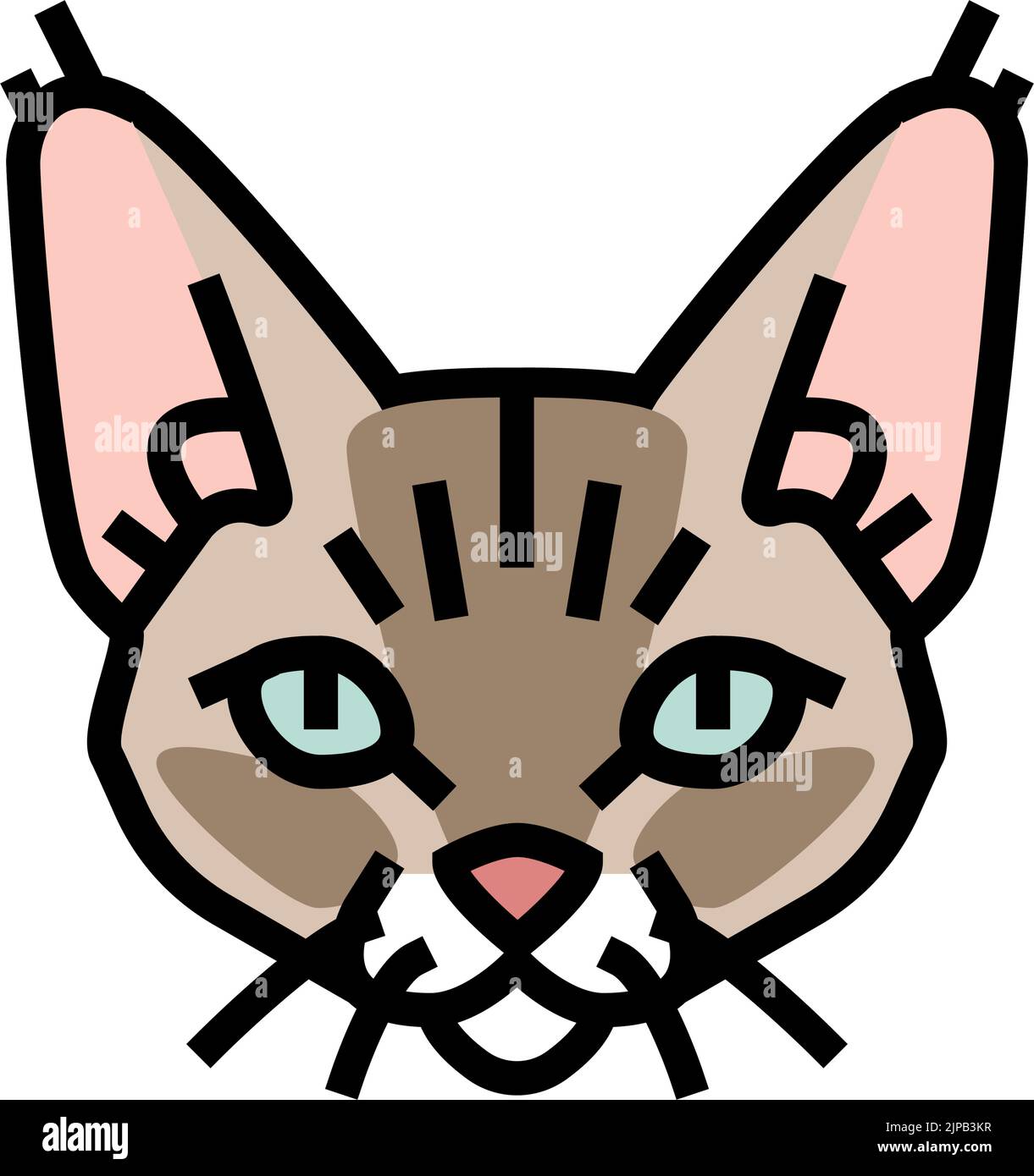 devon rex cat cute pet color icon vector illustration Stock Vector ...
