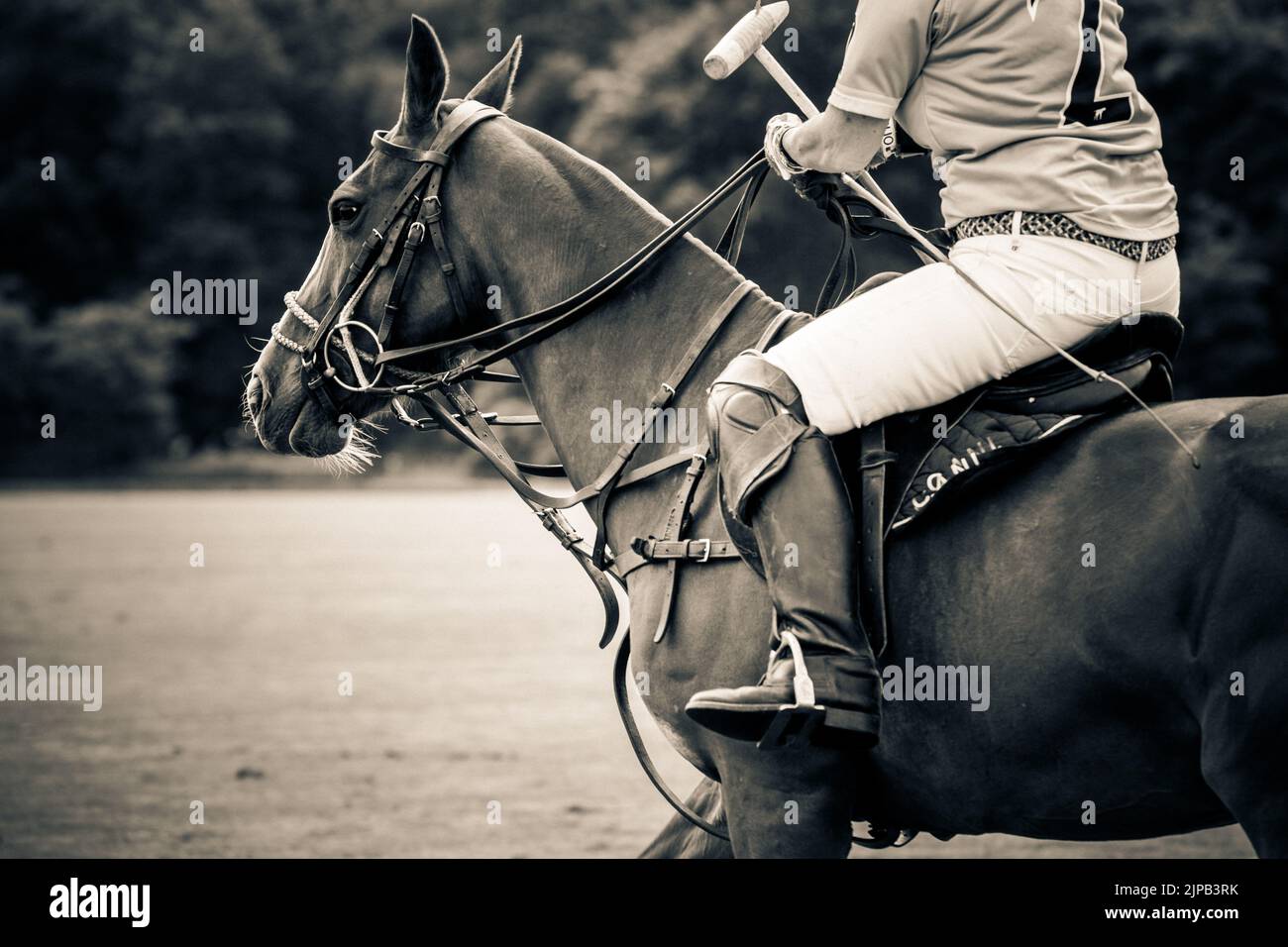 A Stylized Edit Of A Female Polo Player Mid Game During The Groundsman Cup Kirtlington Polo