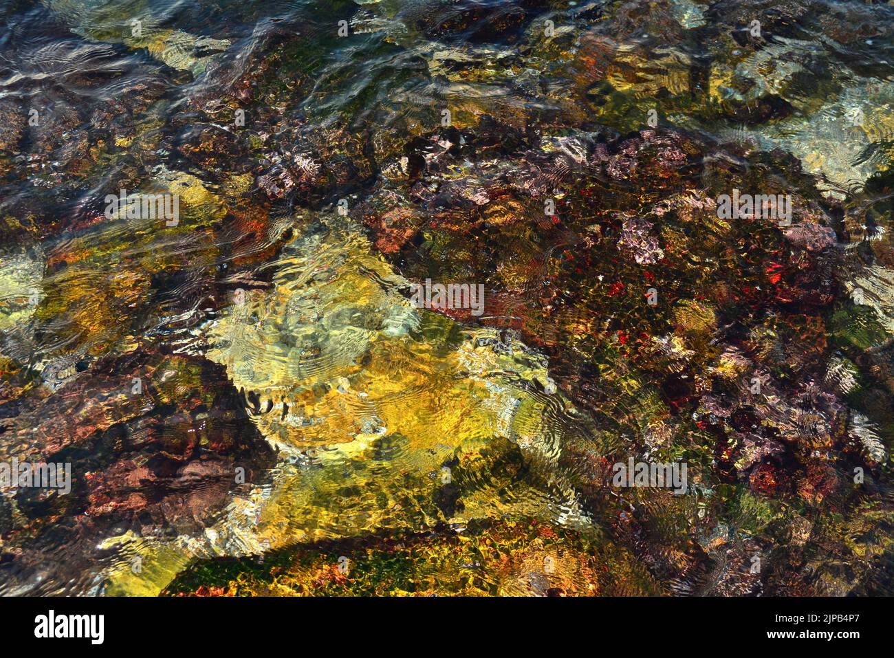 Light refraction, diffraction and reflection on water Stock Photo - Alamy