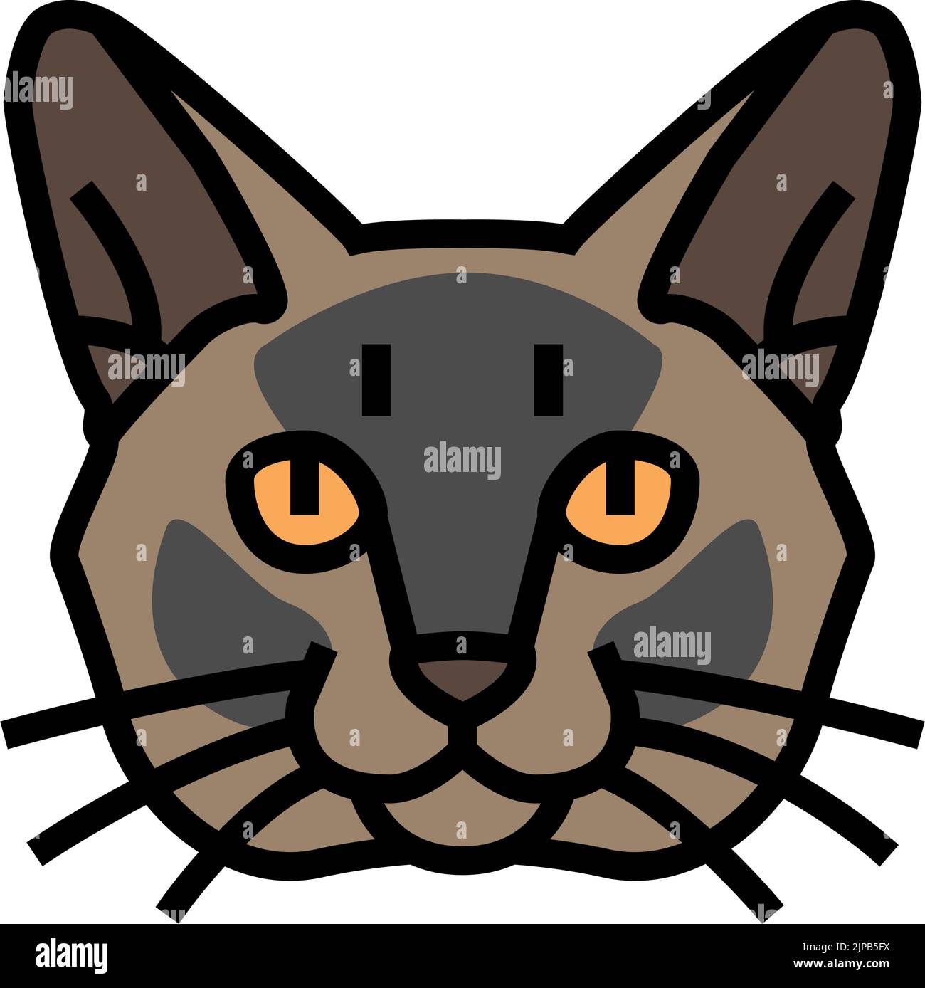 burmese cat cute pet color icon vector illustration Stock Vector Image ...