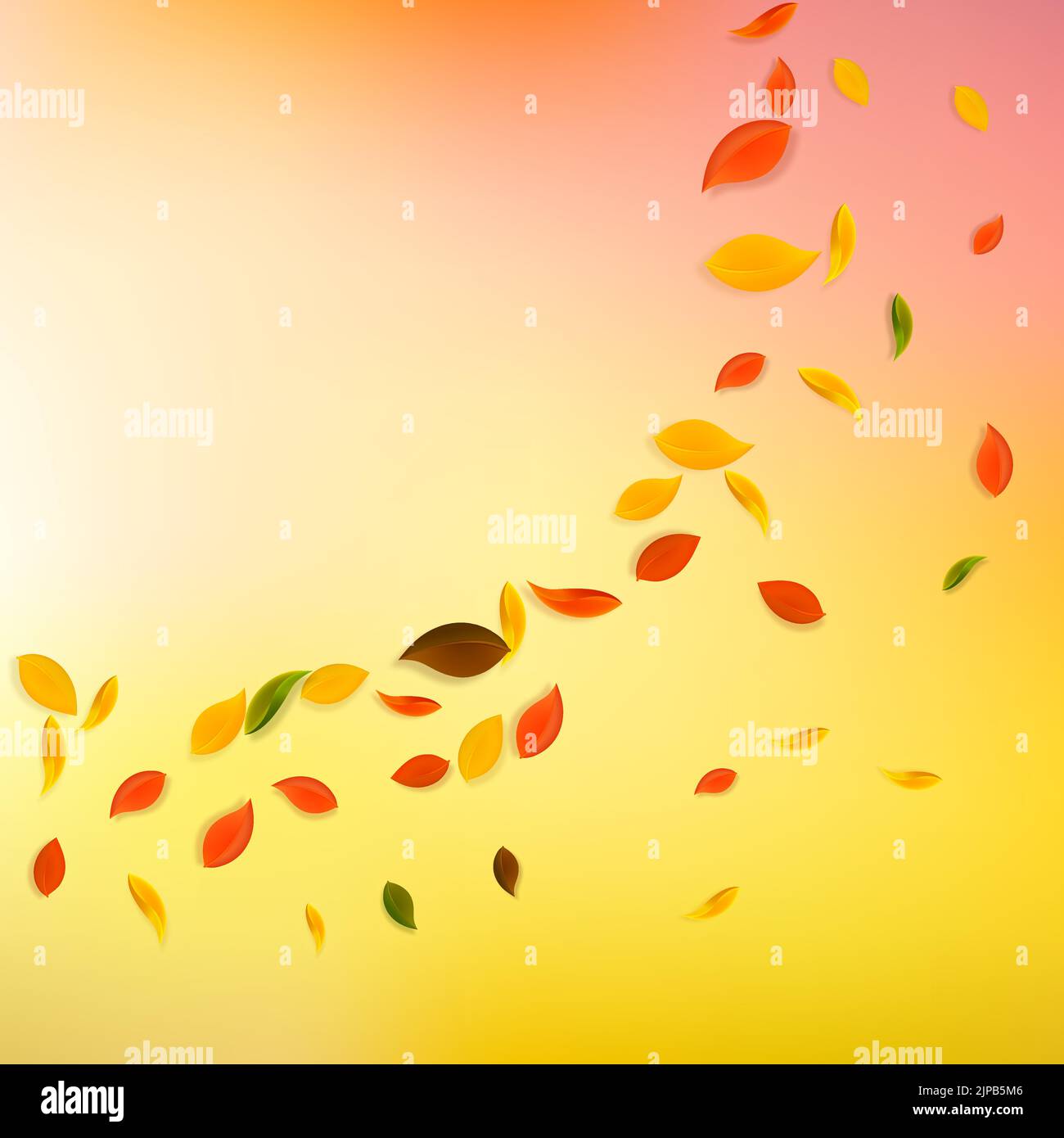 Falling autumn leaves. Red, yellow, green, brown chaotic leaves flying. Corner colorful foliage ...