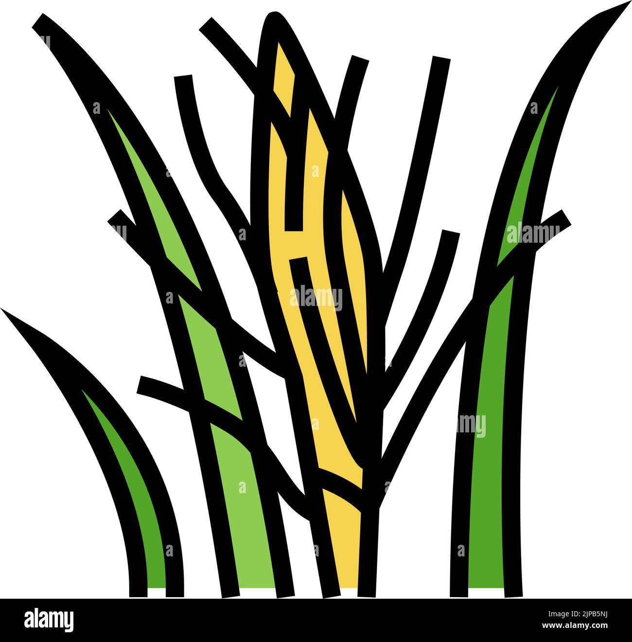 flower coconut coco color icon vector illustration Stock Vector Image ...