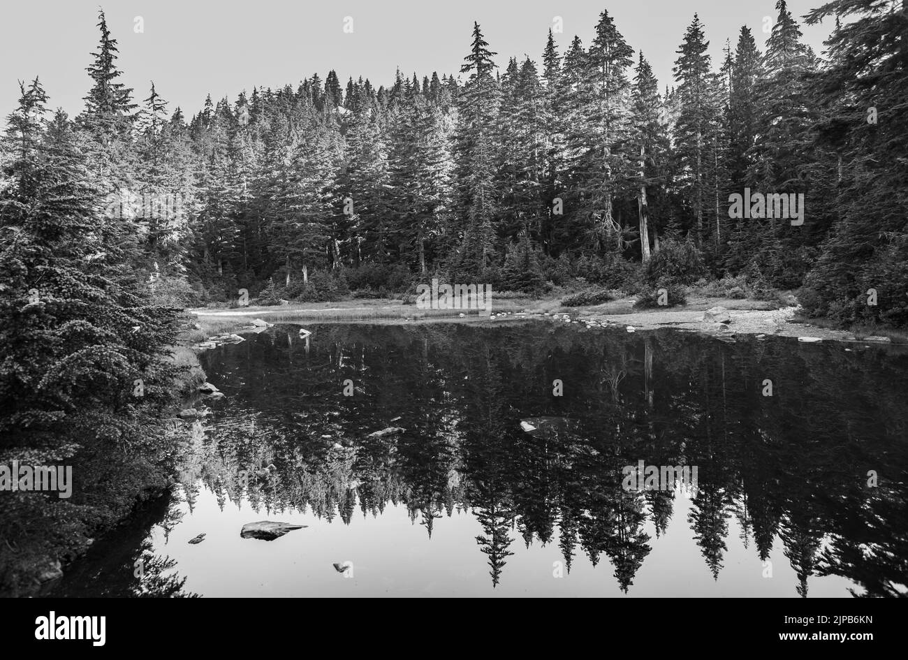 Small park in early Black and White Stock Photos & Images - Alamy