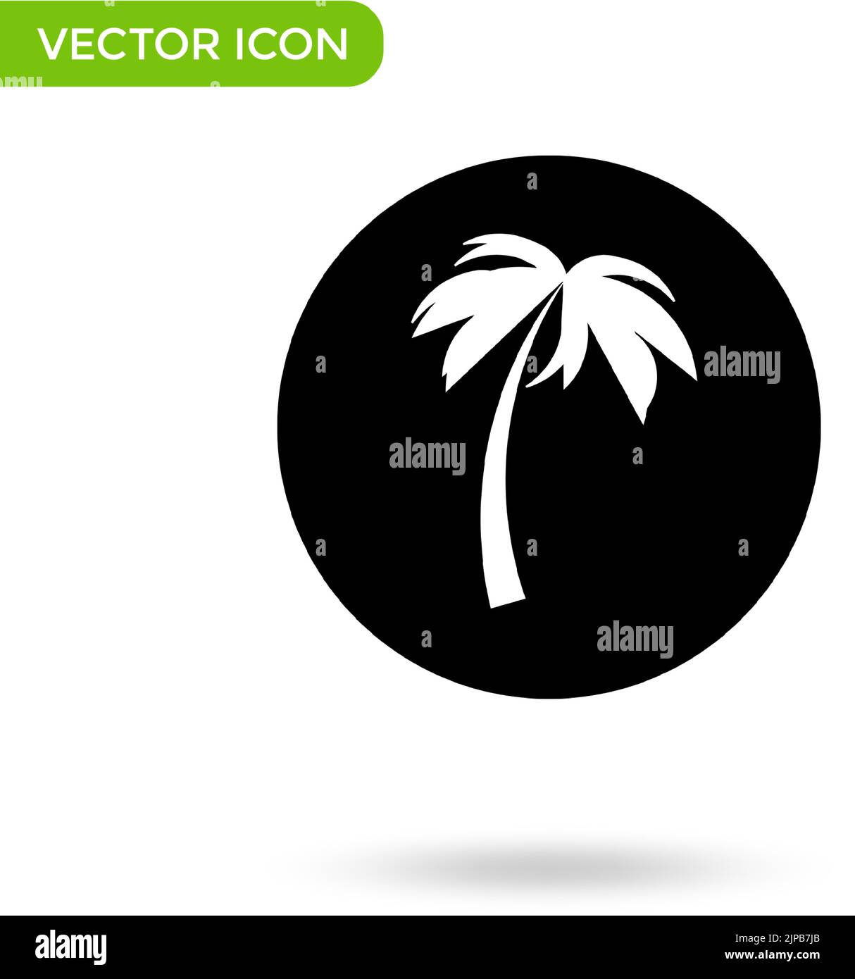 palm tree icon. minimal and creative icon isolated on white background ...