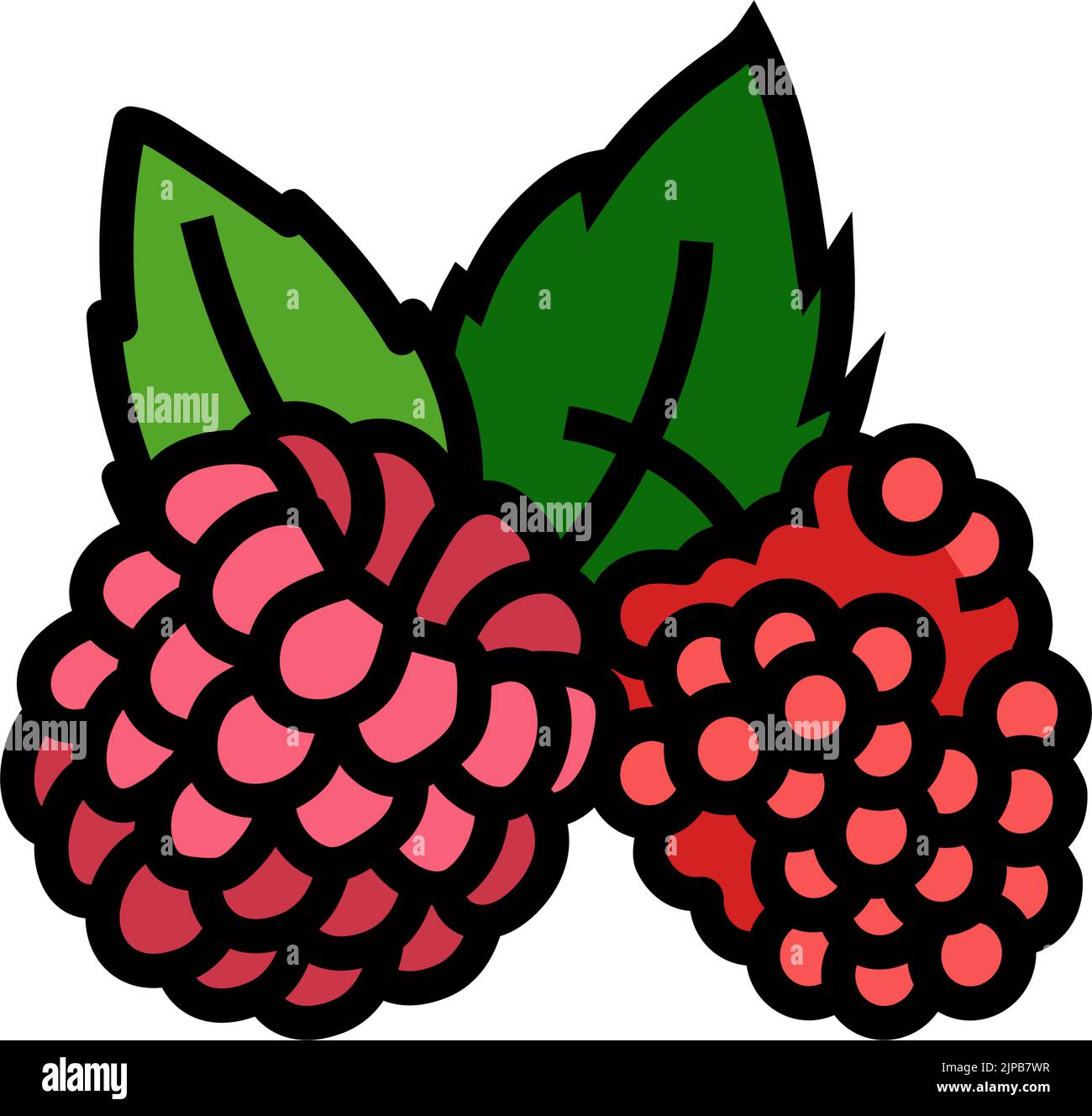 raspberry plant leaf fresh color icon vector illustration Stock Vector ...