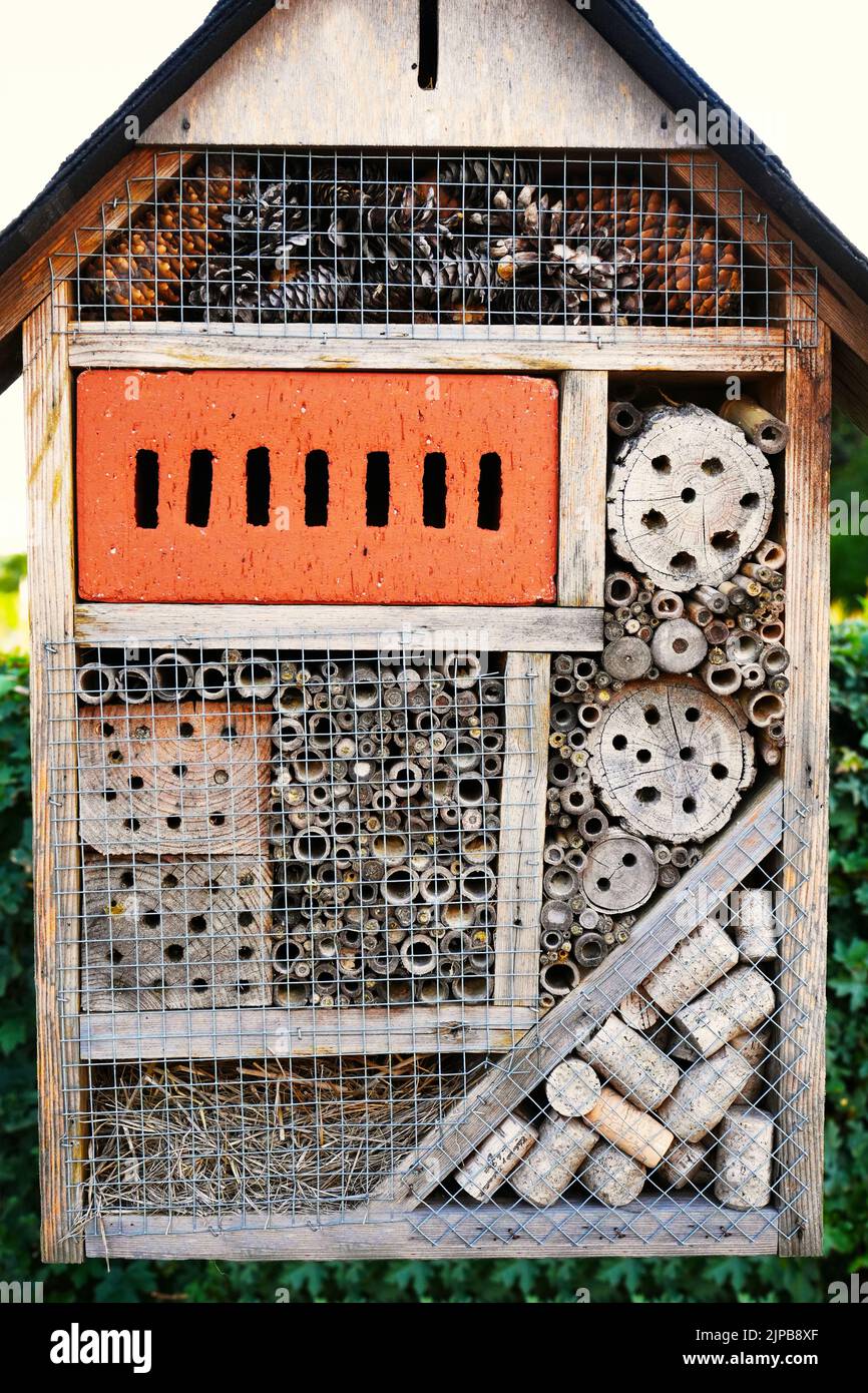 insect hotel. wooden insect house hanging from tree Stock Photo - Alamy
