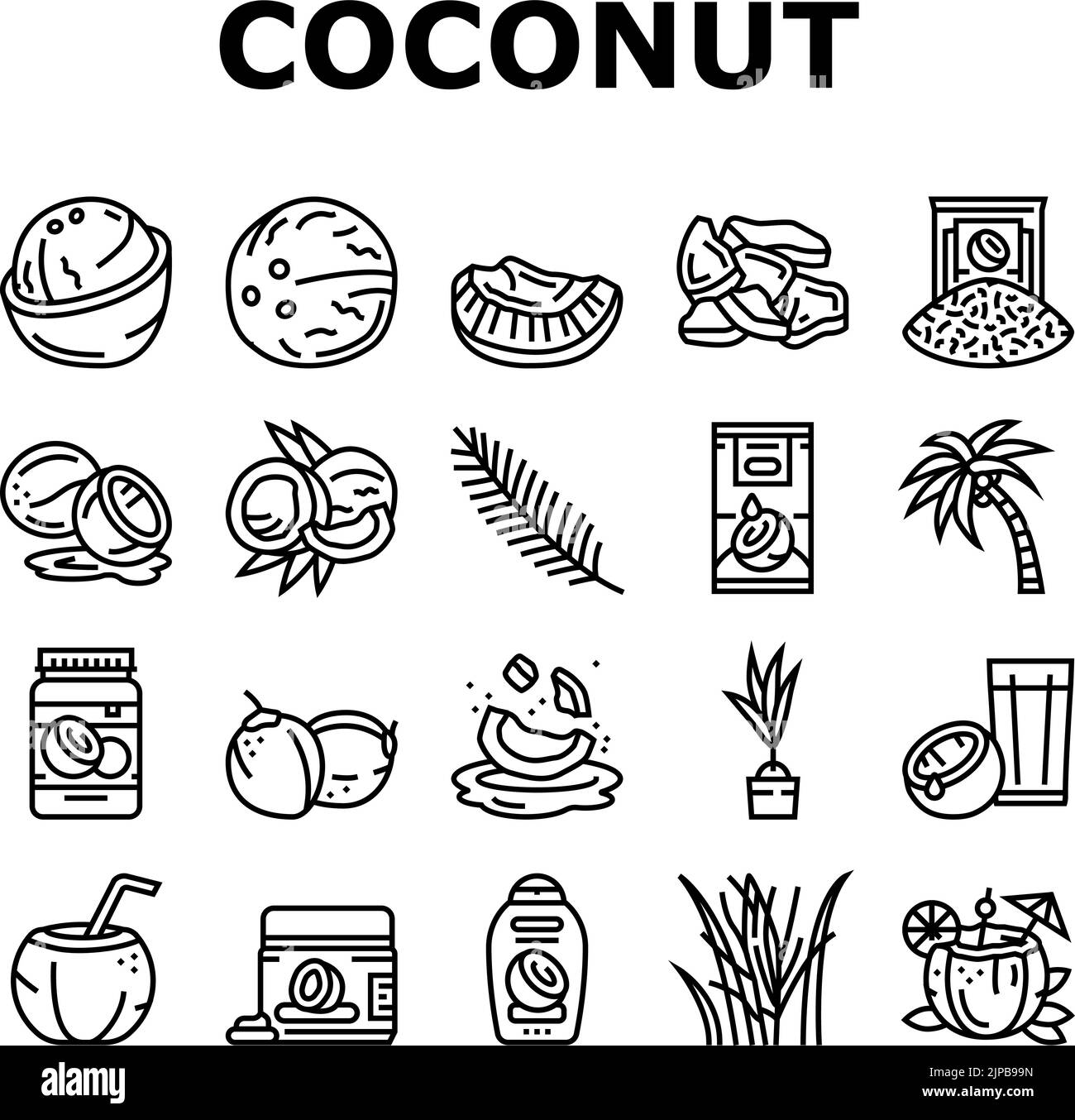 coconut coco fruit fresh white icons set vector Stock Vector Image ...