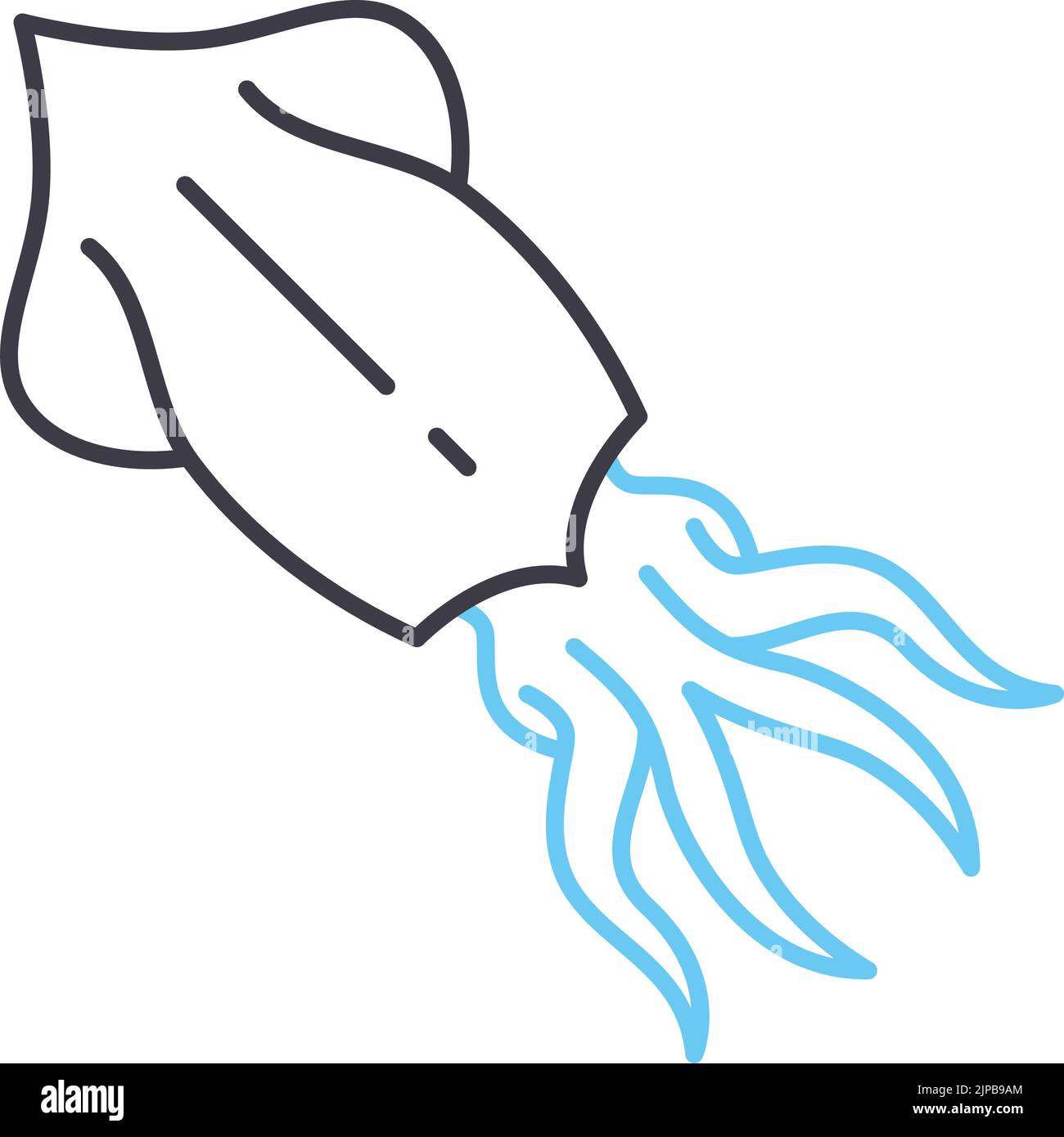 squid line icon, outline symbol, vector illustration, concept sign ...