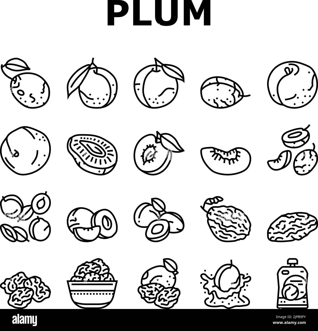 plum fruit green red prune icons set vector Stock Vector Image & Art ...