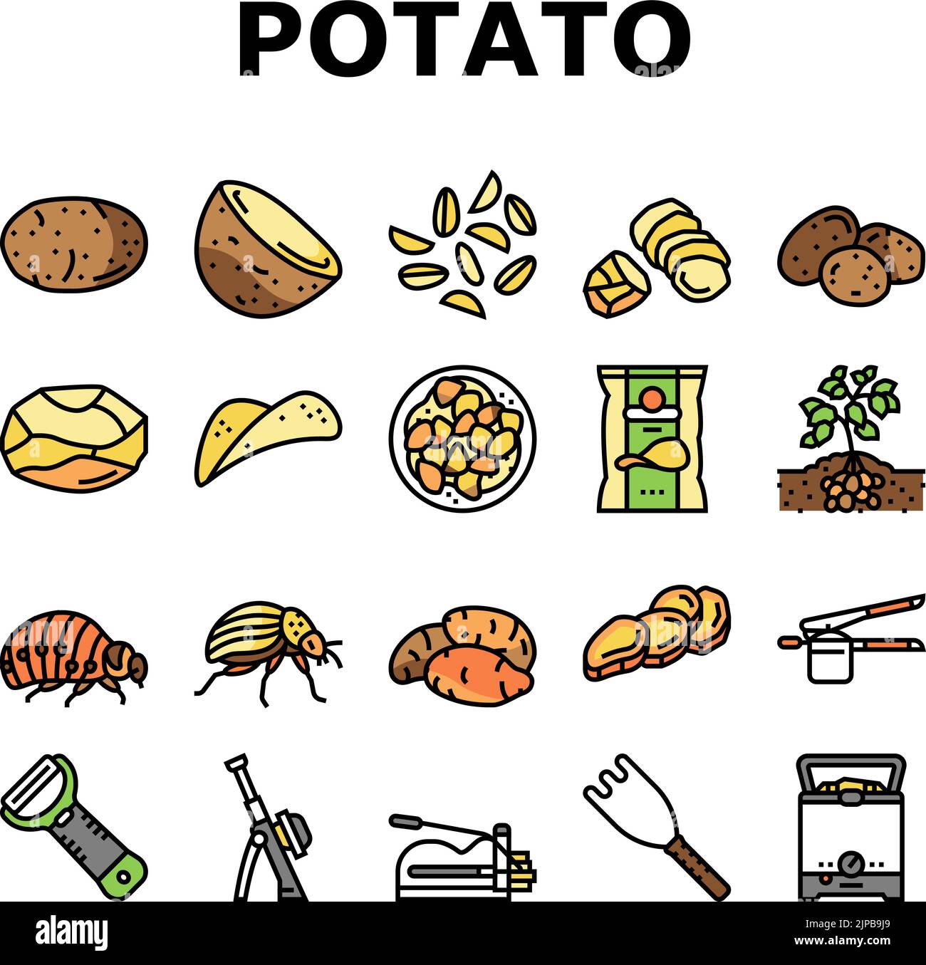 Potato field top view Stock Vector Images - Alamy