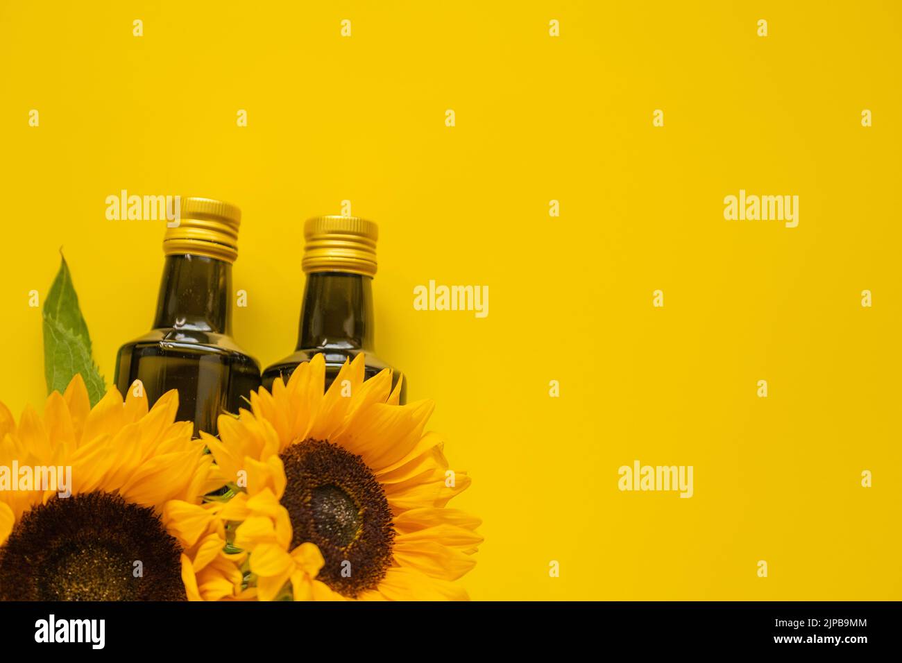 Sunflower oil. Oil bottles set and sunflowers blooming on a bright ...
