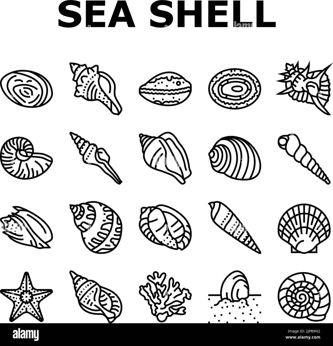 sea shell beach summer ocean icons set vector Stock Vector Image & Art ...