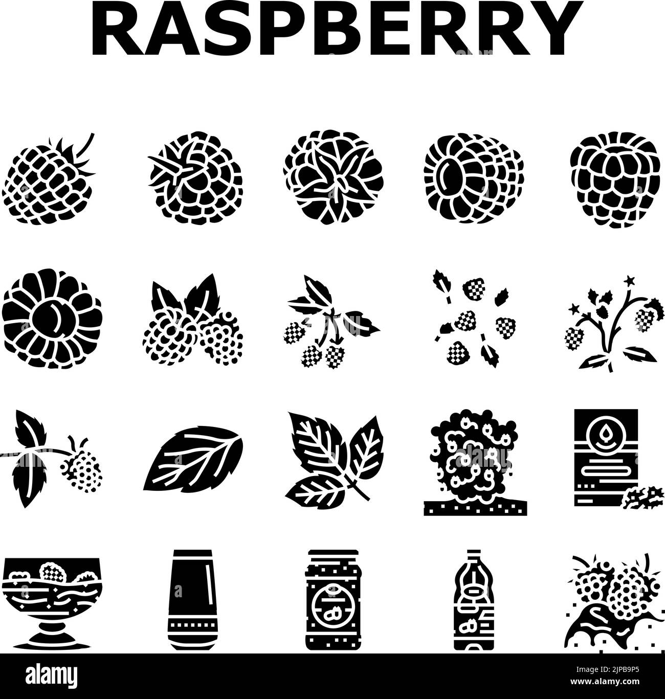 raspberry fruit berry red food icons set vector Stock Vector Image ...