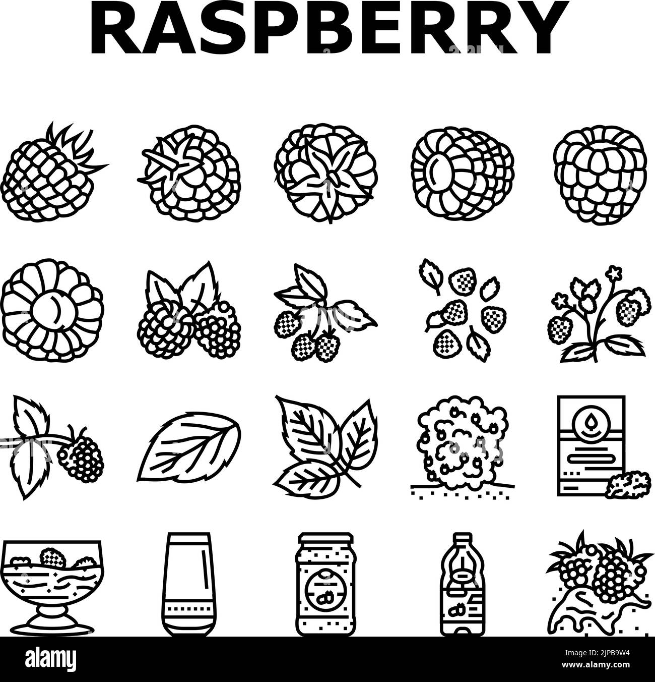 raspberry fruit berry red food icons set vector Stock Vector Image ...