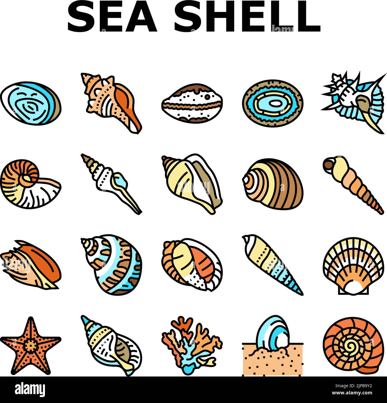 sea shell beach summer ocean icons set vector Stock Vector Image & Art ...