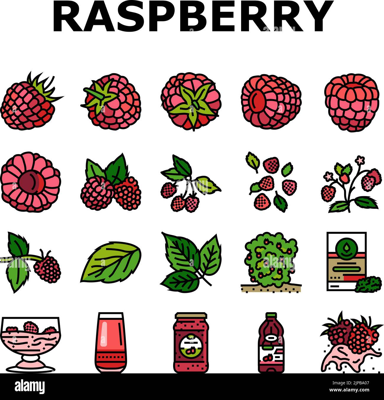 raspberry fruit berry red food icons set vector Stock Vector Image ...