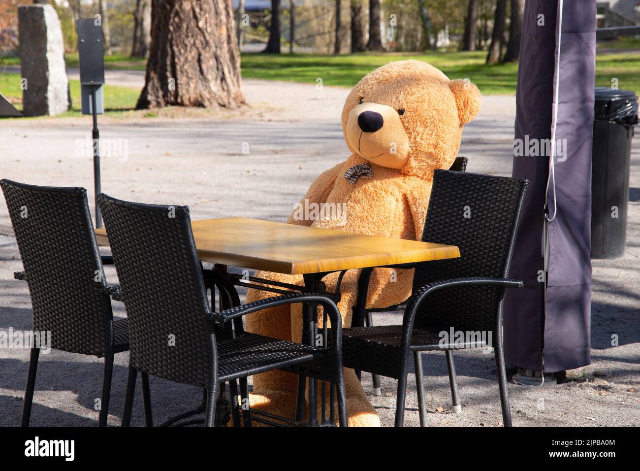 An adorable toy teddy bear sitting alone on a chair next to a table in ...