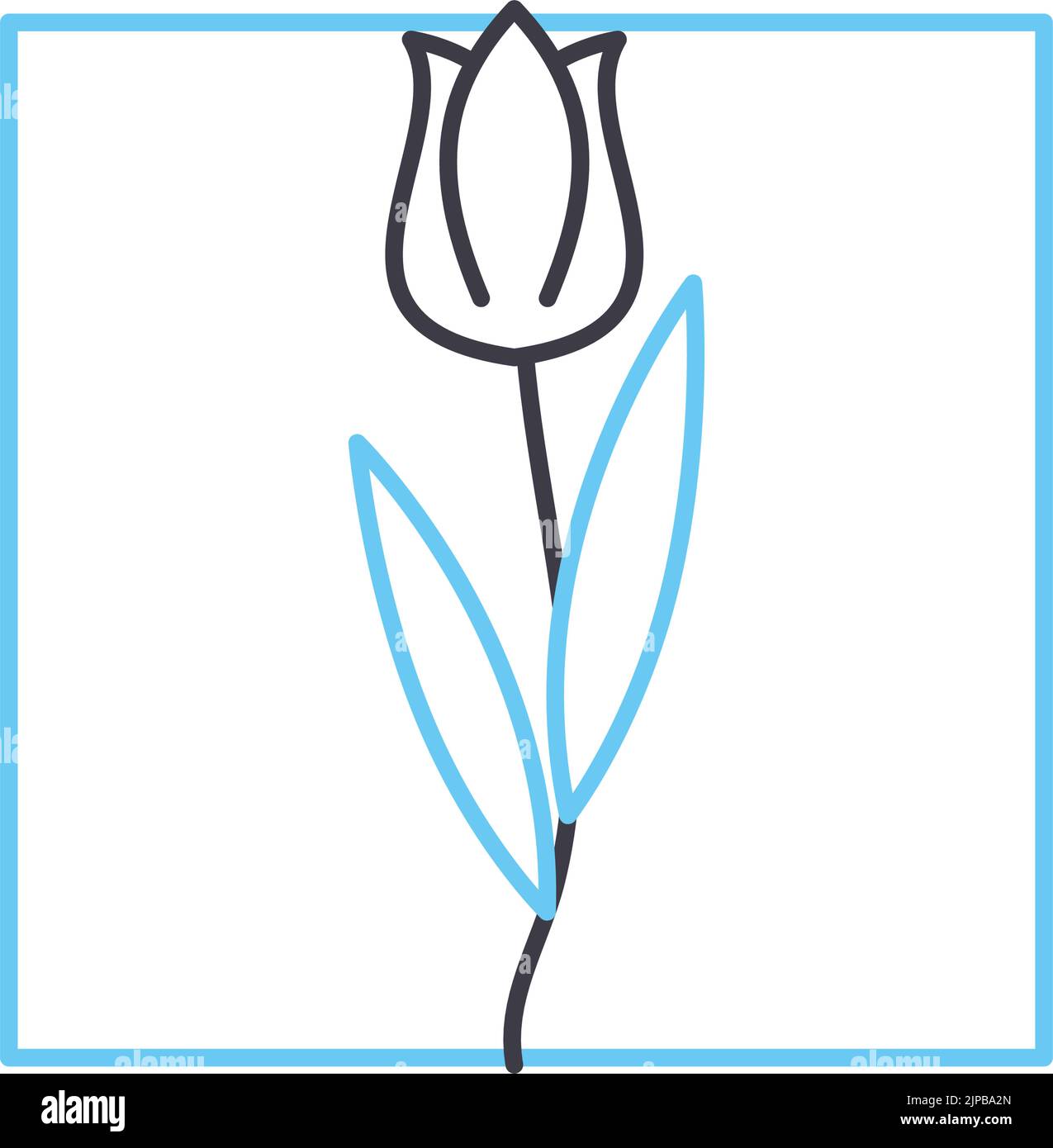 tulips line icon, outline symbol, vector illustration, concept sign ...