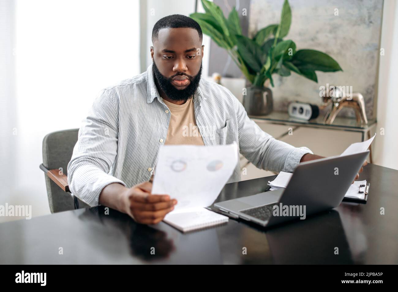 Serious concentrated successful african american busy man, freelancer ...