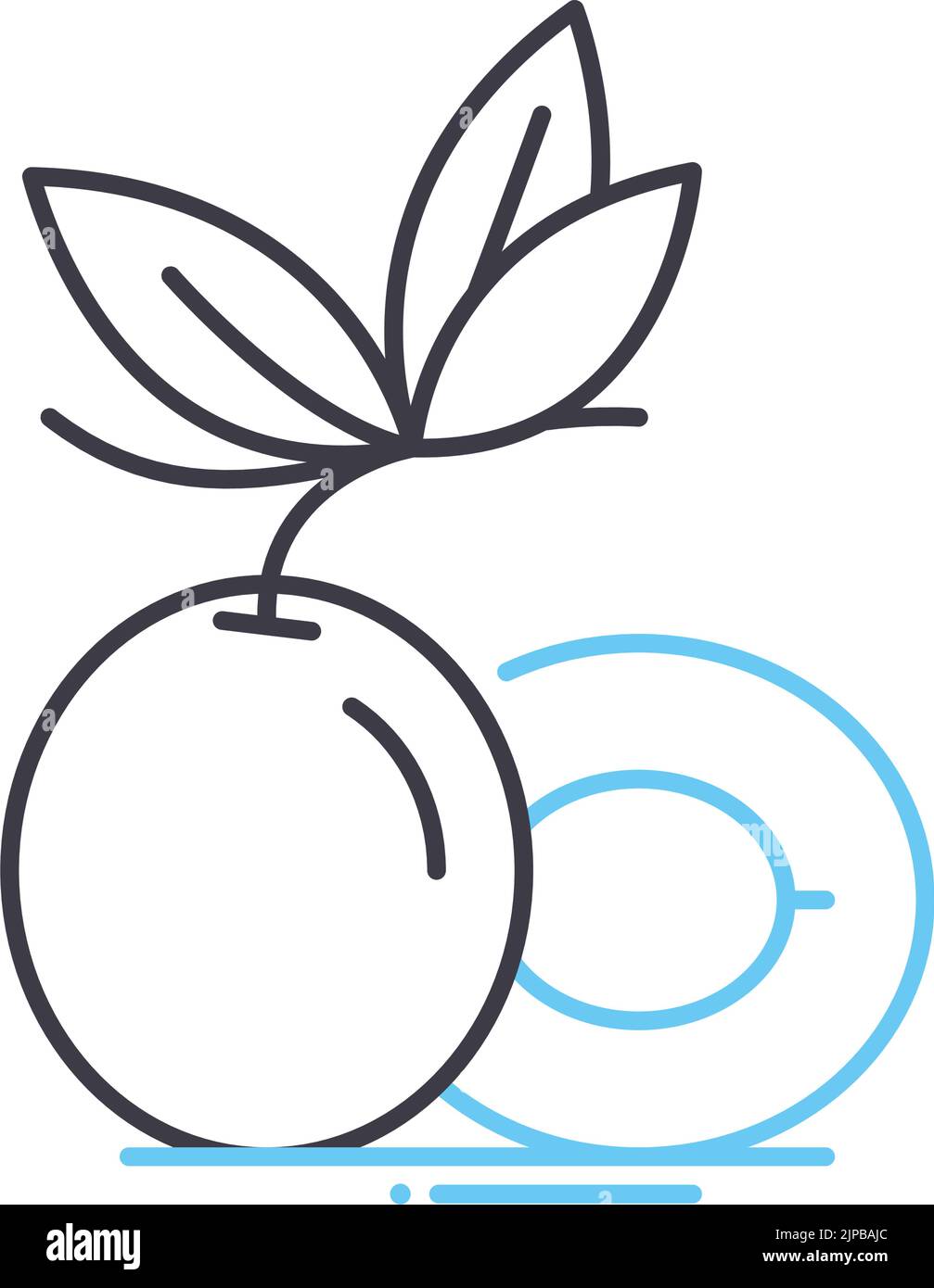 peach line icon, outline symbol, vector illustration, concept sign ...