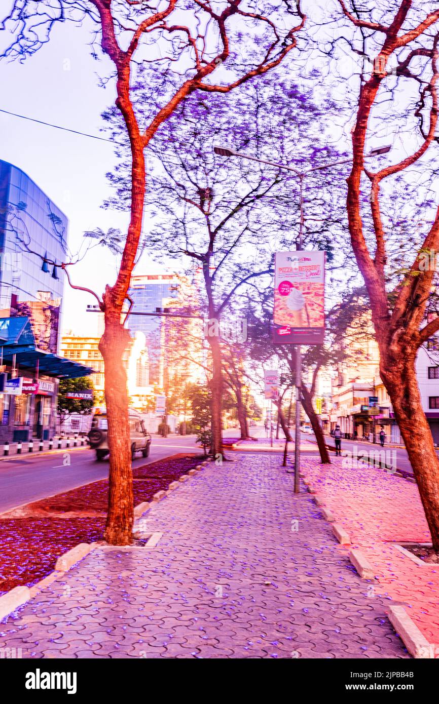 Kenya's Capital City Nairobi City County Streets Path Roads Tarmac ...