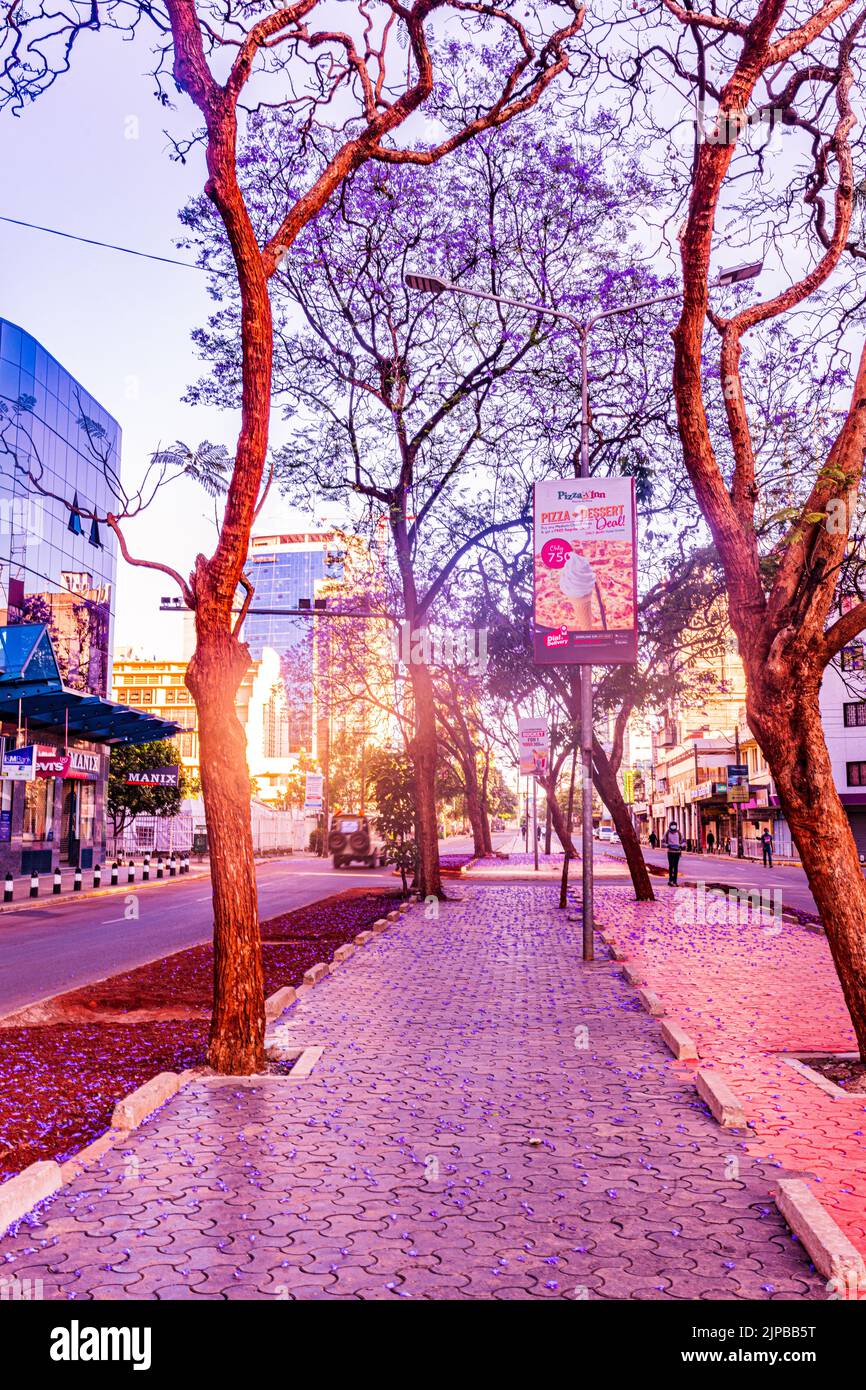 Kenya's Capital City Nairobi City County Streets Path Roads Tarmac ...