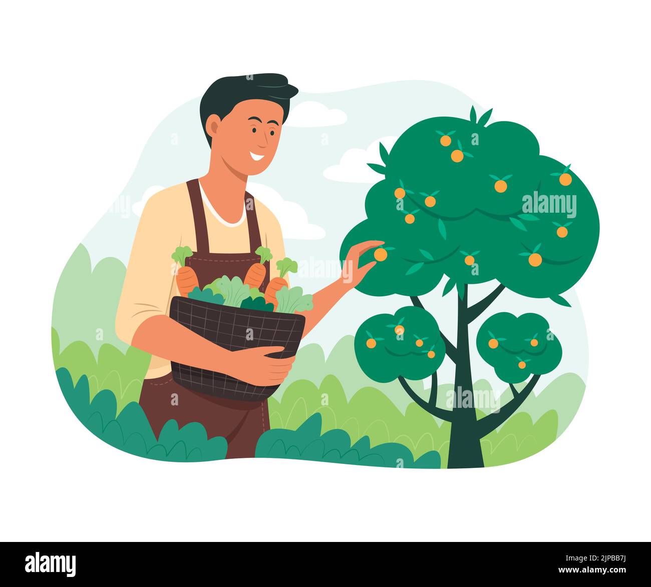Picking Fresh Fruits Stock Vector Images Alamy