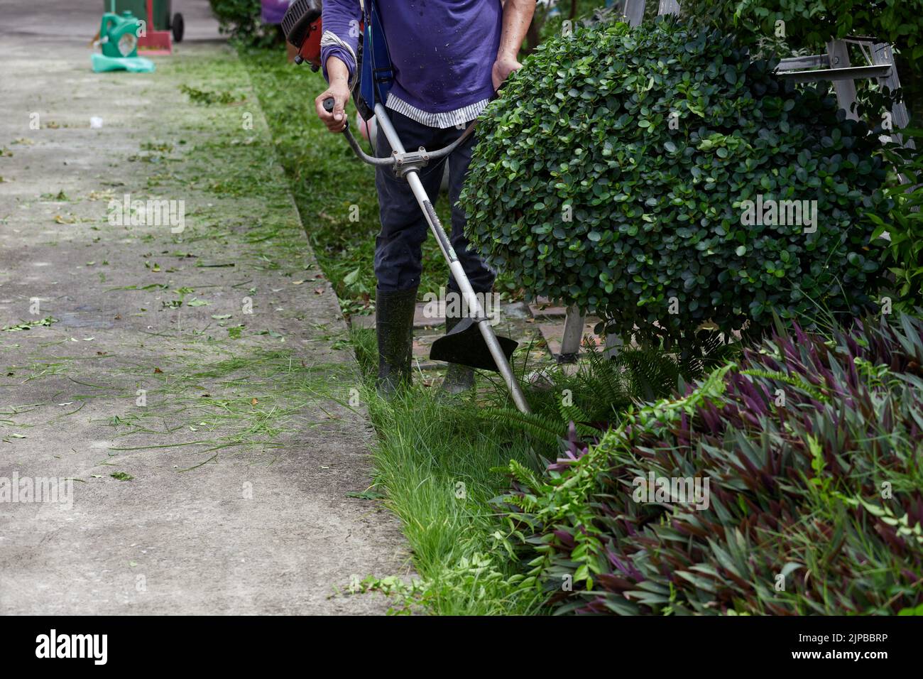 Worker mowing grass with petrol lawn trimmer Stock Photo - Alamy