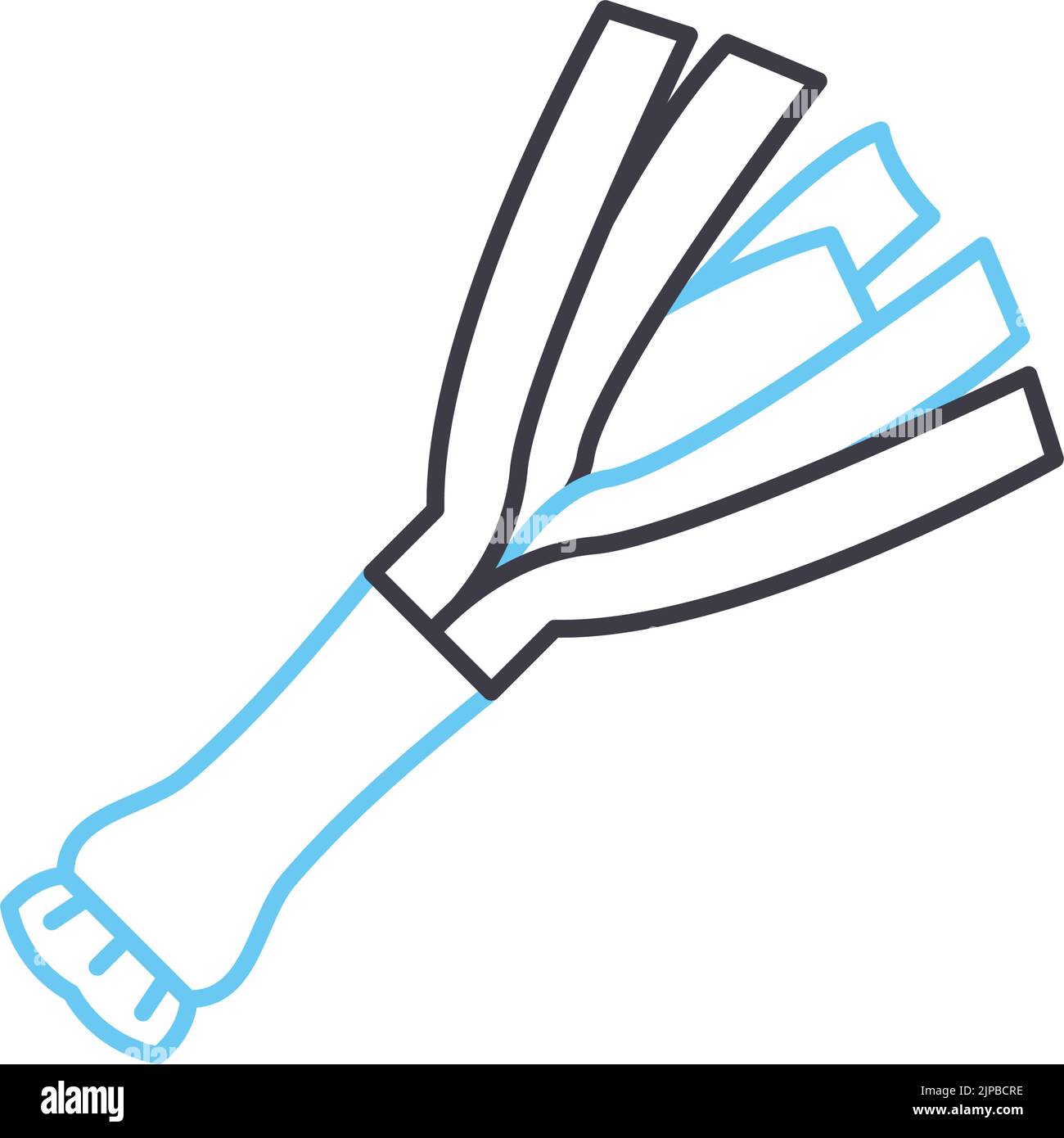 Scallion isolated Stock Vector Images - Alamy