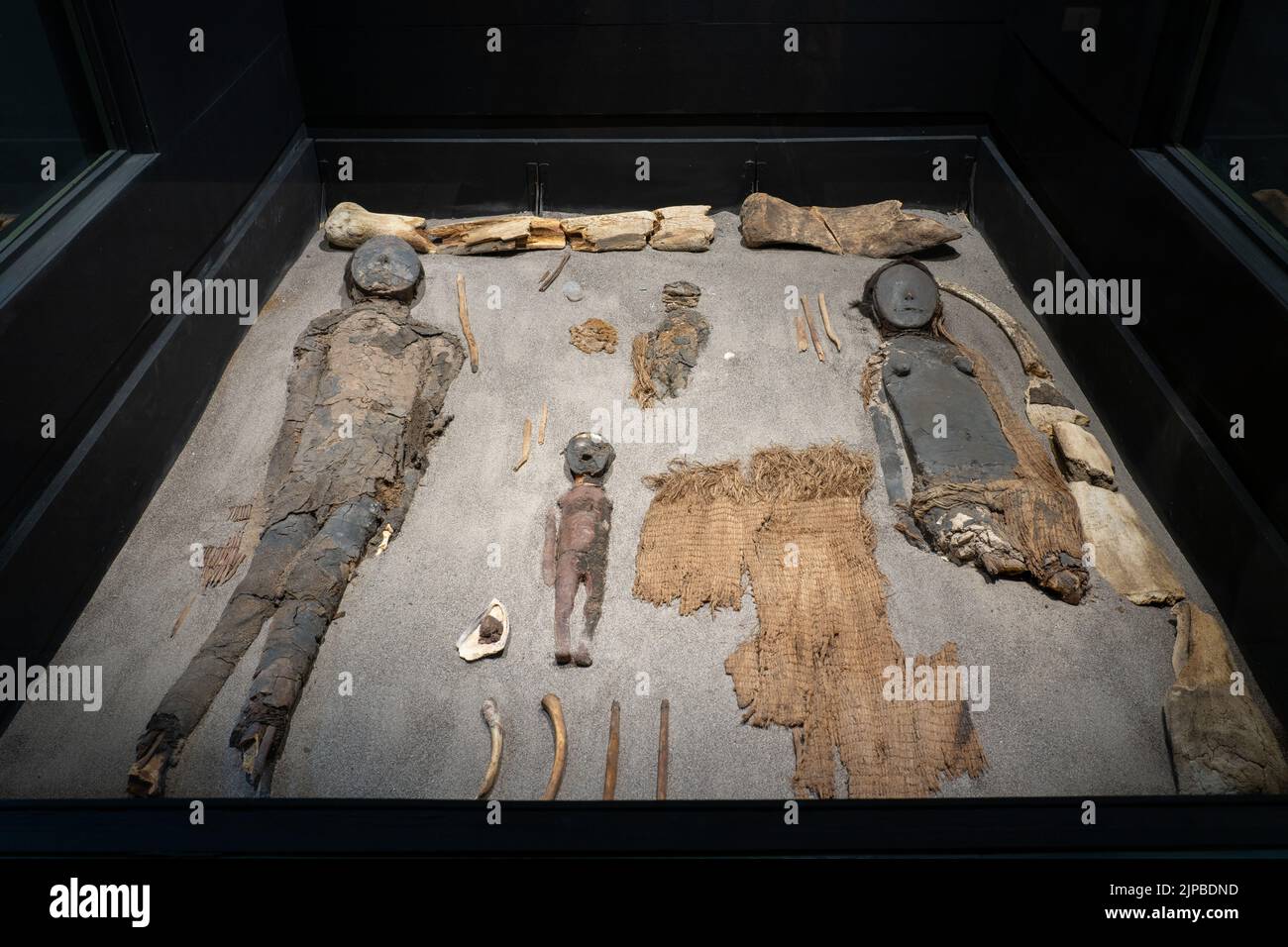 Mummies of the Chinchorro culture, Chile Stock Photo - Alamy
